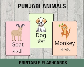 Punjabi & English Animal Flashcards for Kids | Gurmukhi Bilingual ...