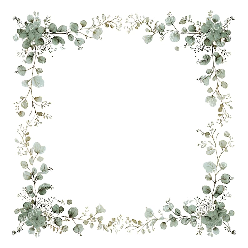 Watercolor Eucalyptus Frames | Green Botanical PNG Borders (digital ...