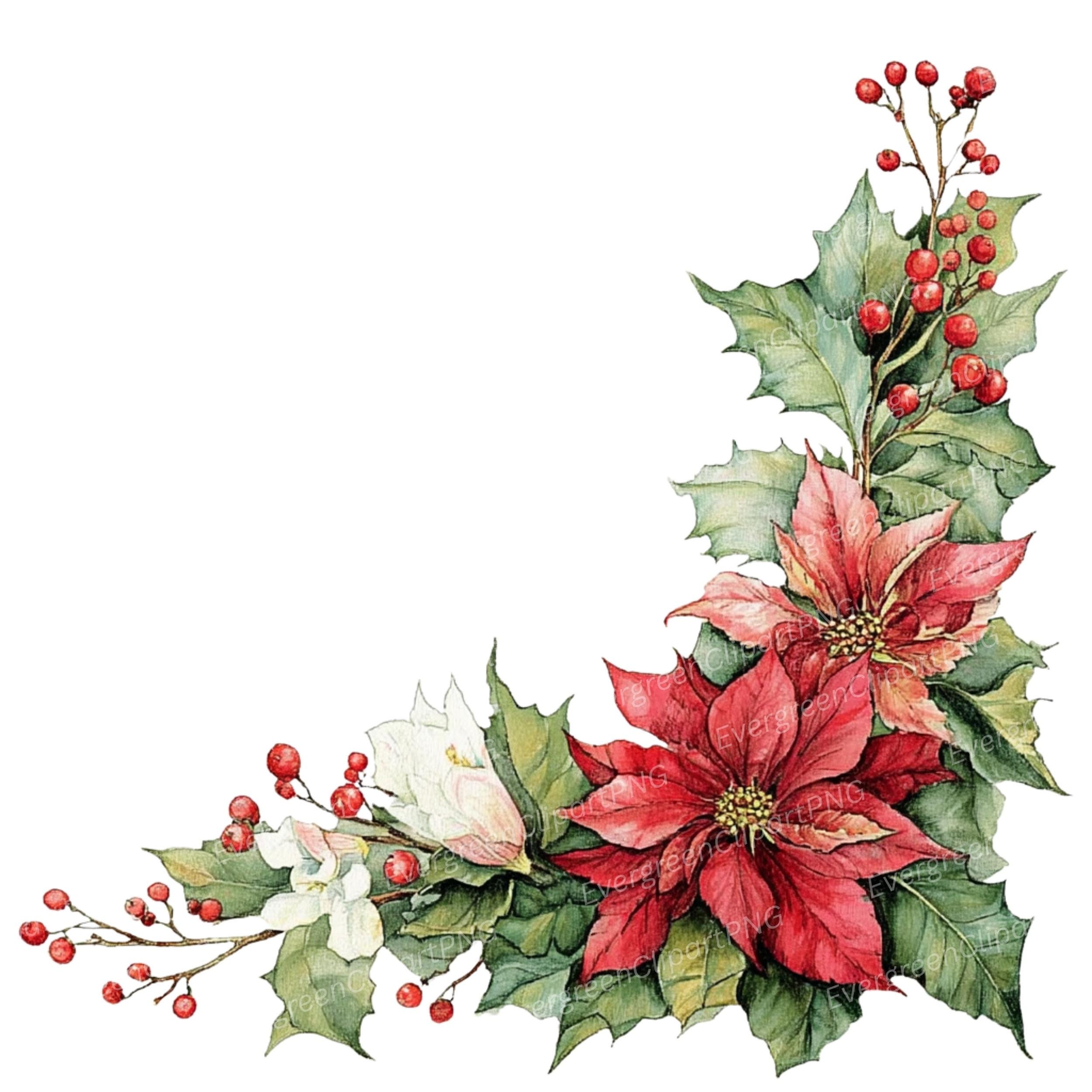 Watercolor Poinsettia Christmas Border Clipart: Festive Holly Frames ...