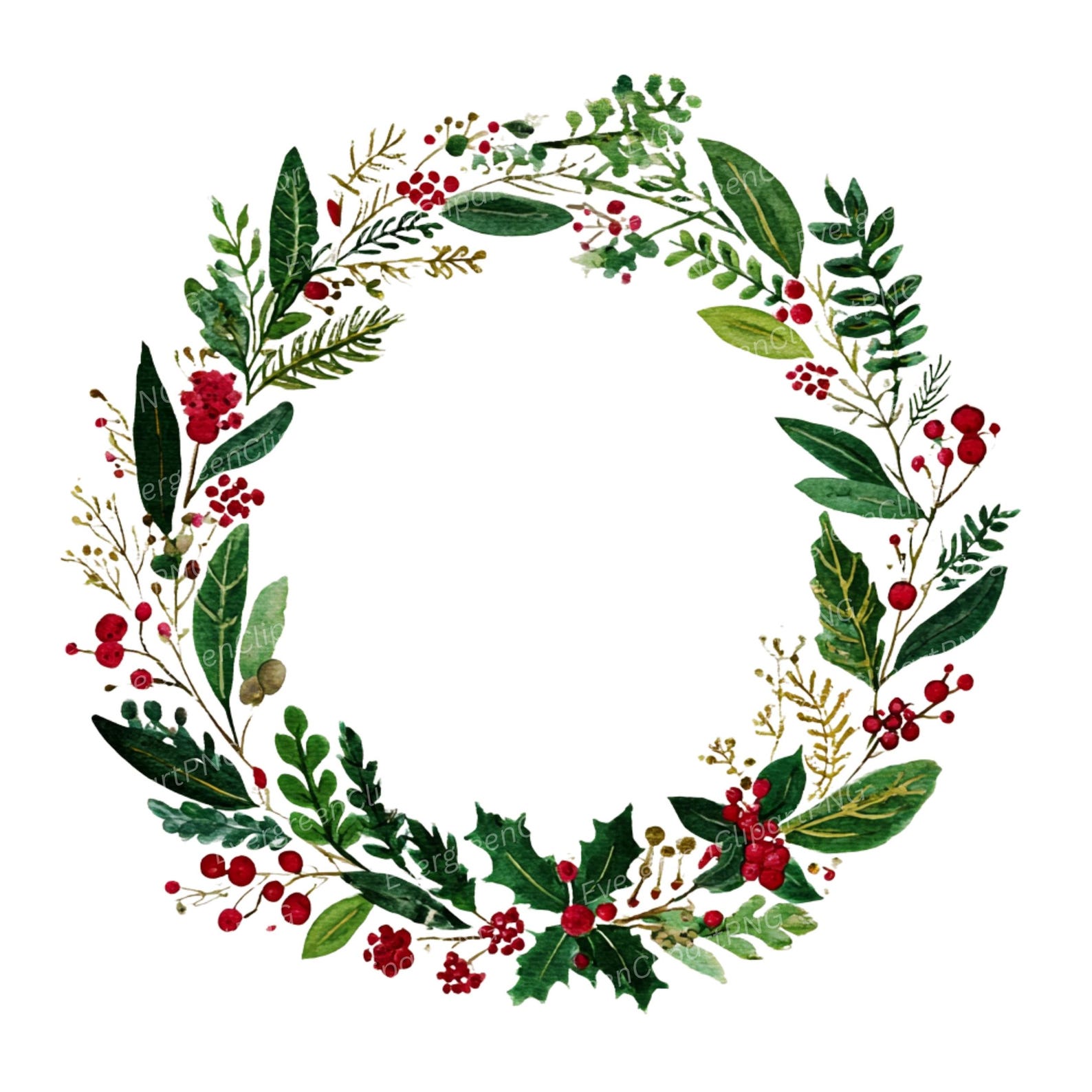 Watercolor Christmas Wreaths PNG: Holiday Greenery Clipart (digital ...