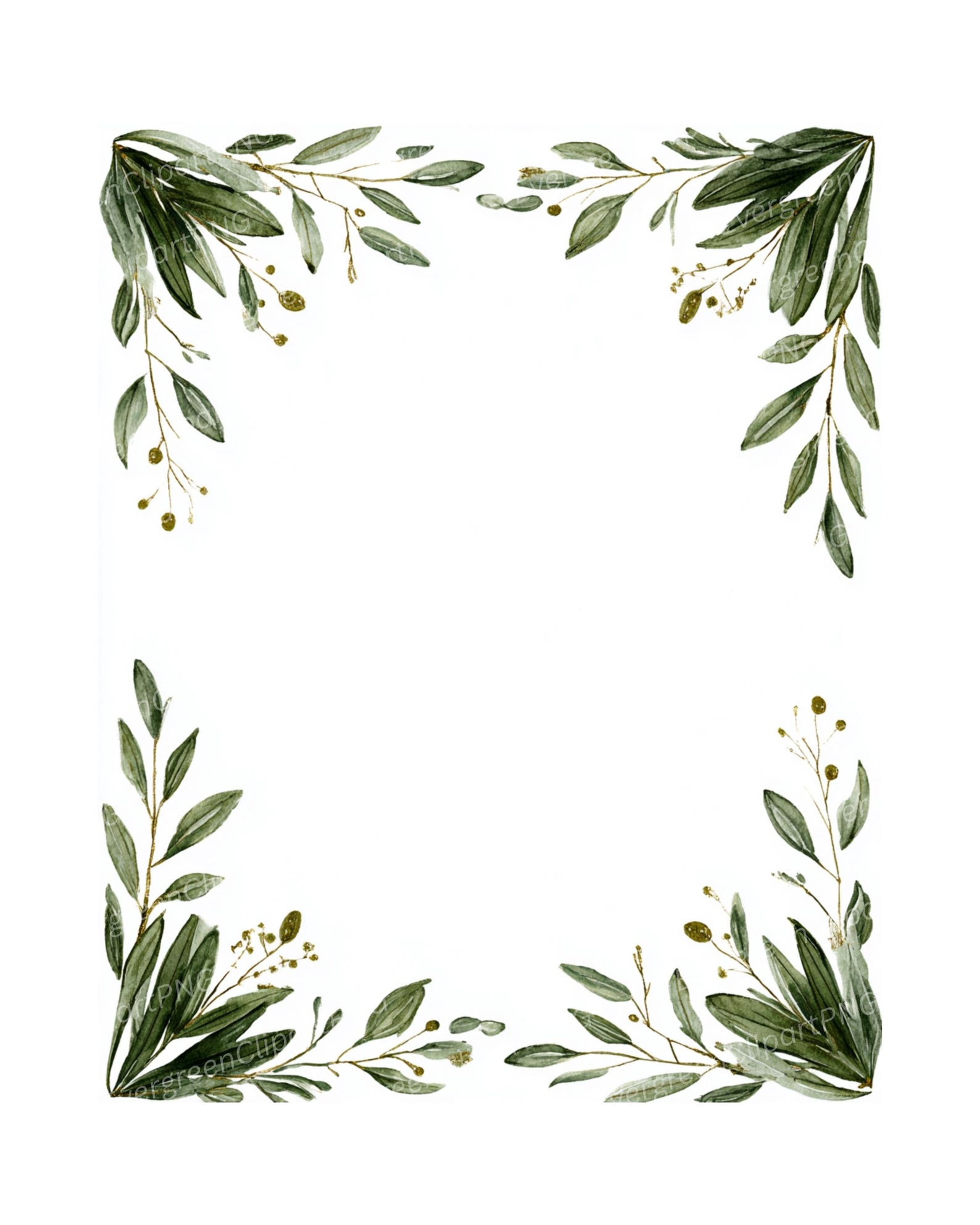 10 Watercolor Olive Branch Frame Clipart: Botanical Wreaths (digital ...