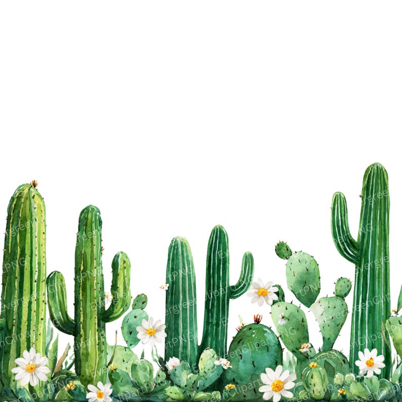 Watercolor Cactus Borders Clipart: Desert Succulent Frames (digital ...