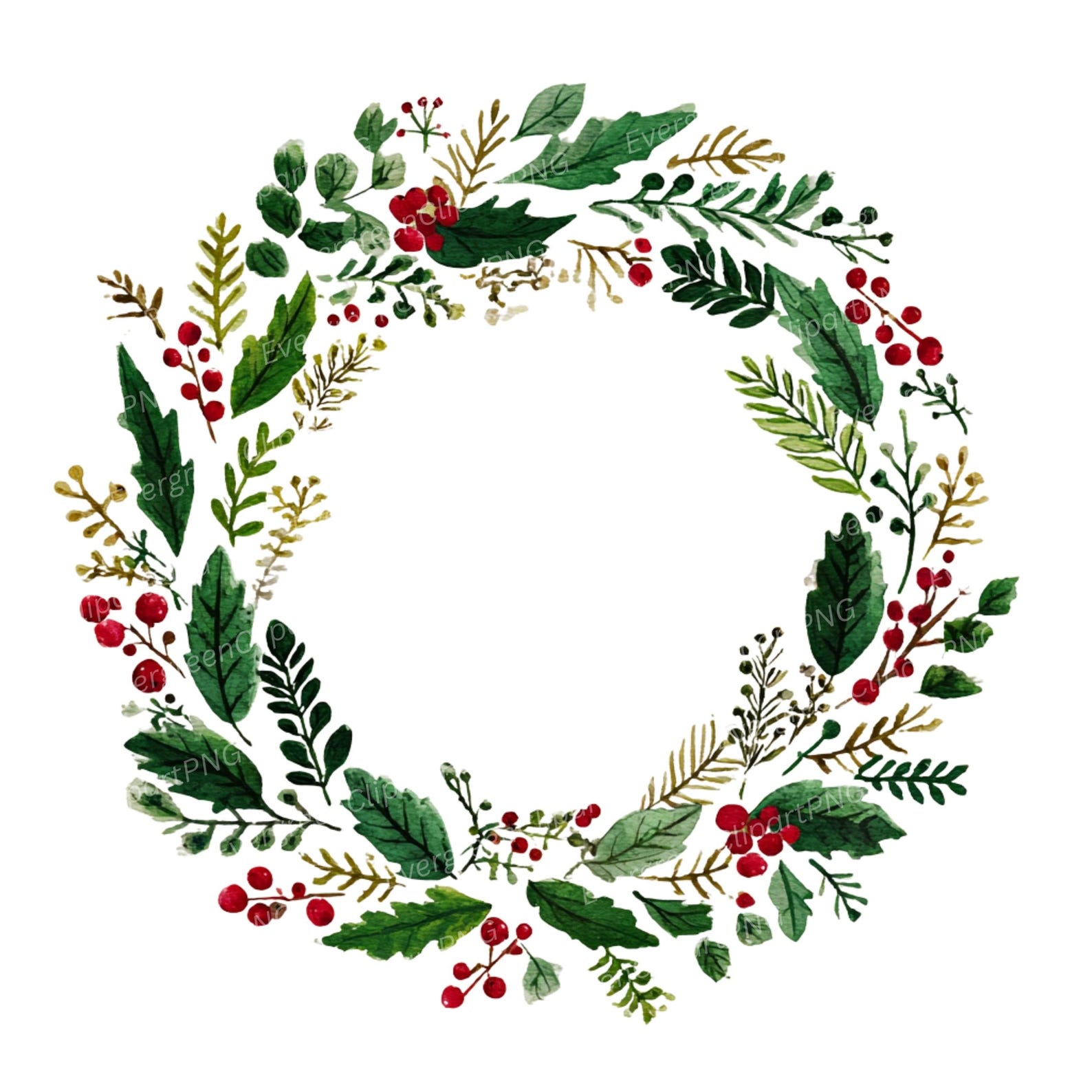 Watercolor Christmas Wreaths PNG: Holiday Greenery Clipart (digital ...