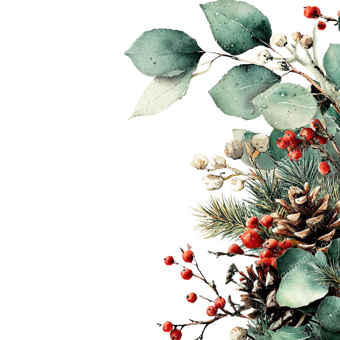 Watercolor Christmas Greenery Borders | Pine & Eucalyptus Frames (PNG ...