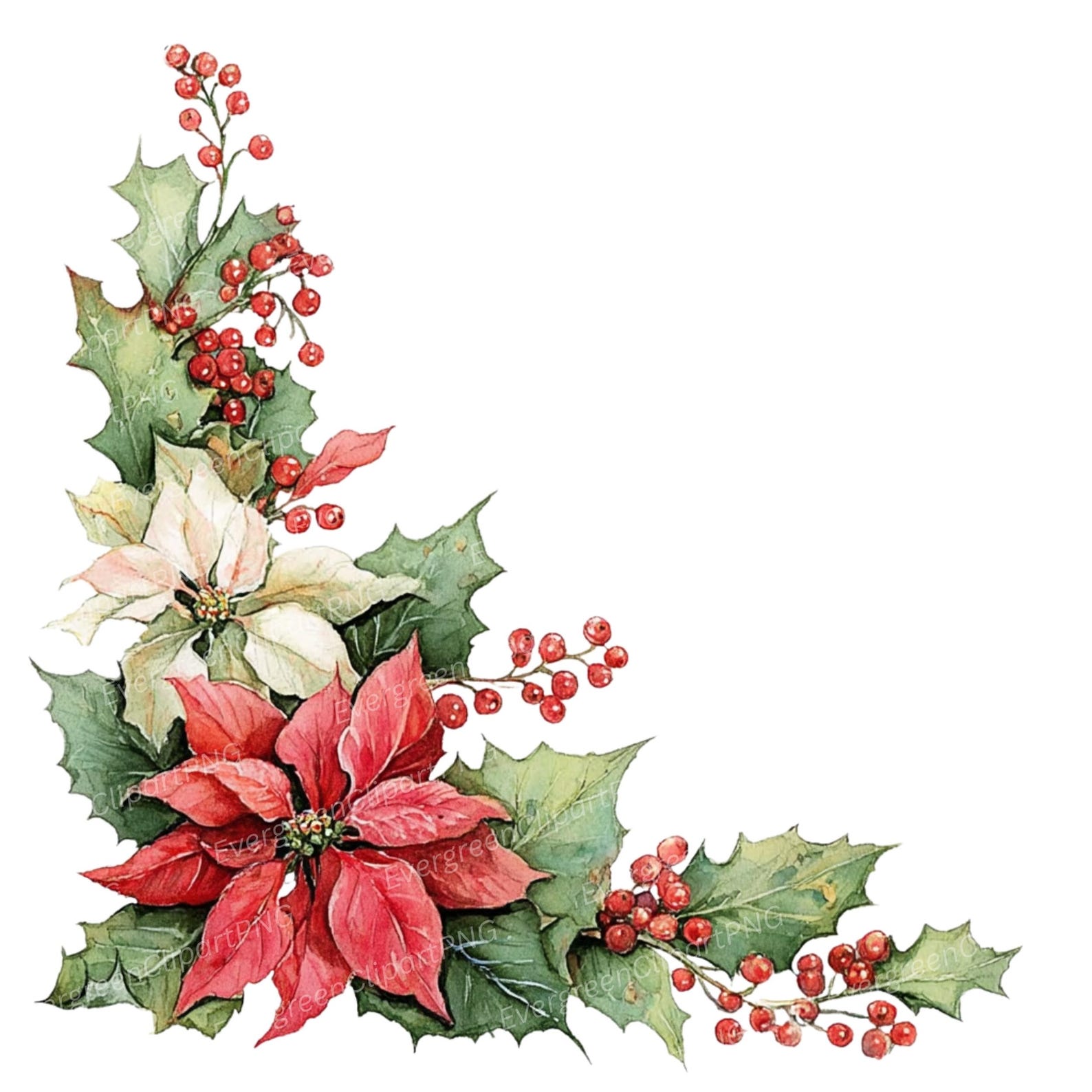 Watercolor Poinsettia Christmas Border Clipart: Festive Holly Frames ...
