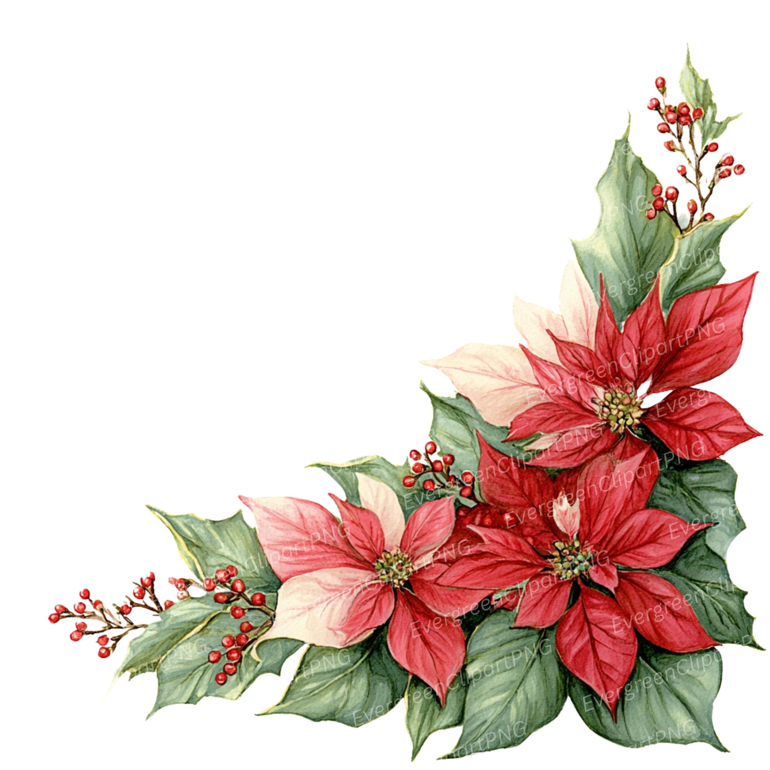 9 Watercolor Poinsettia Christmas Borders: Red & Green Holiday Frames ...