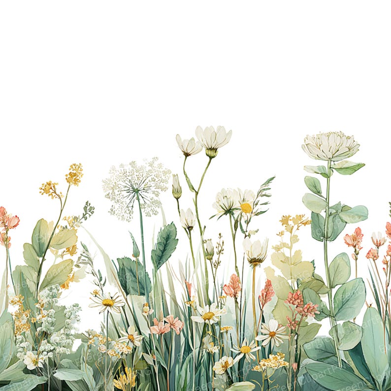 Watercolor Meadow Flowers Clipart: Spring Floral PNG (digital Download ...