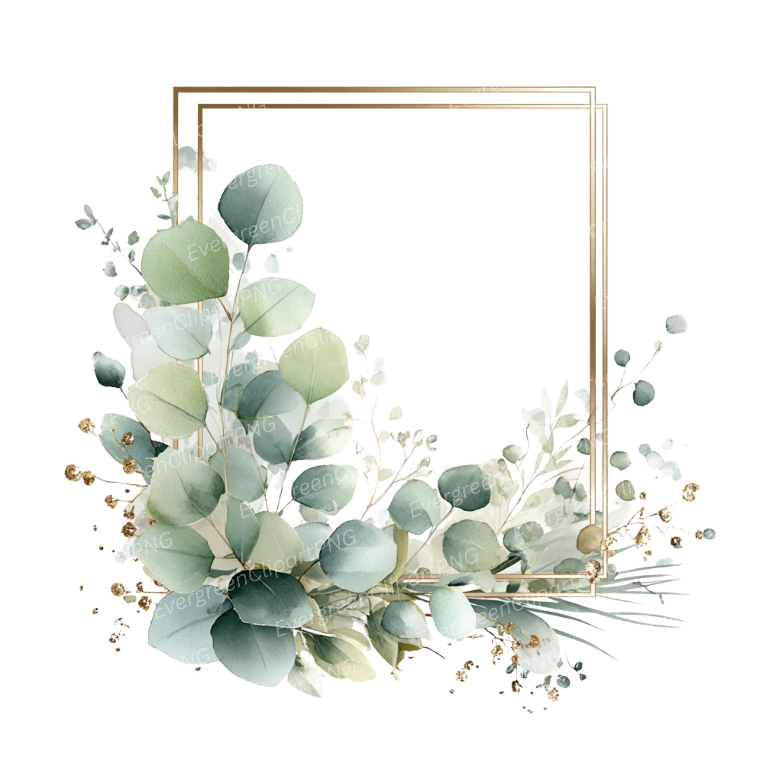 10 Eucalyptus Gold Frame Clipart: Watercolor Greenery, Botanical ...