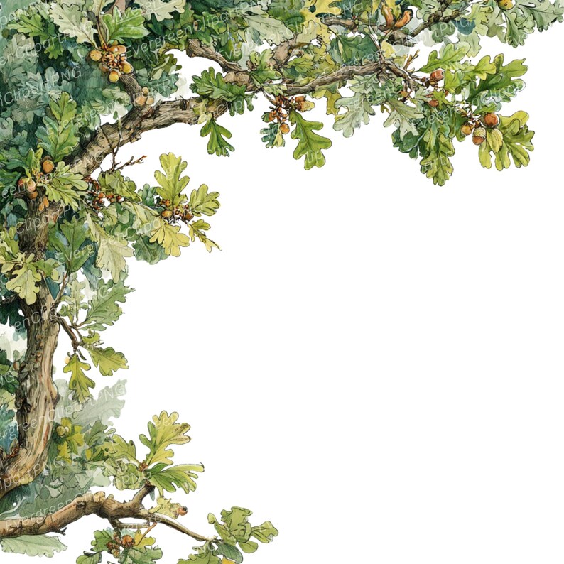 Watercolor Oak Leaf Frame Borders: Botanical Clipart (digital Download ...