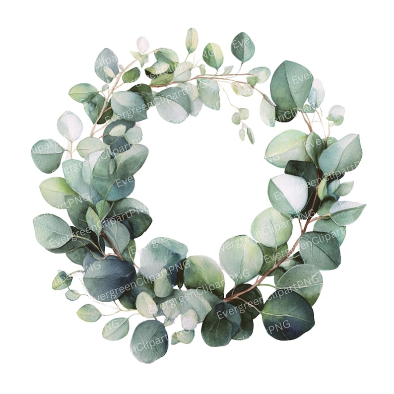 Watercolor Eucalyptus Wreath Clipart: Green Leaf Circle Frames (PNG ...