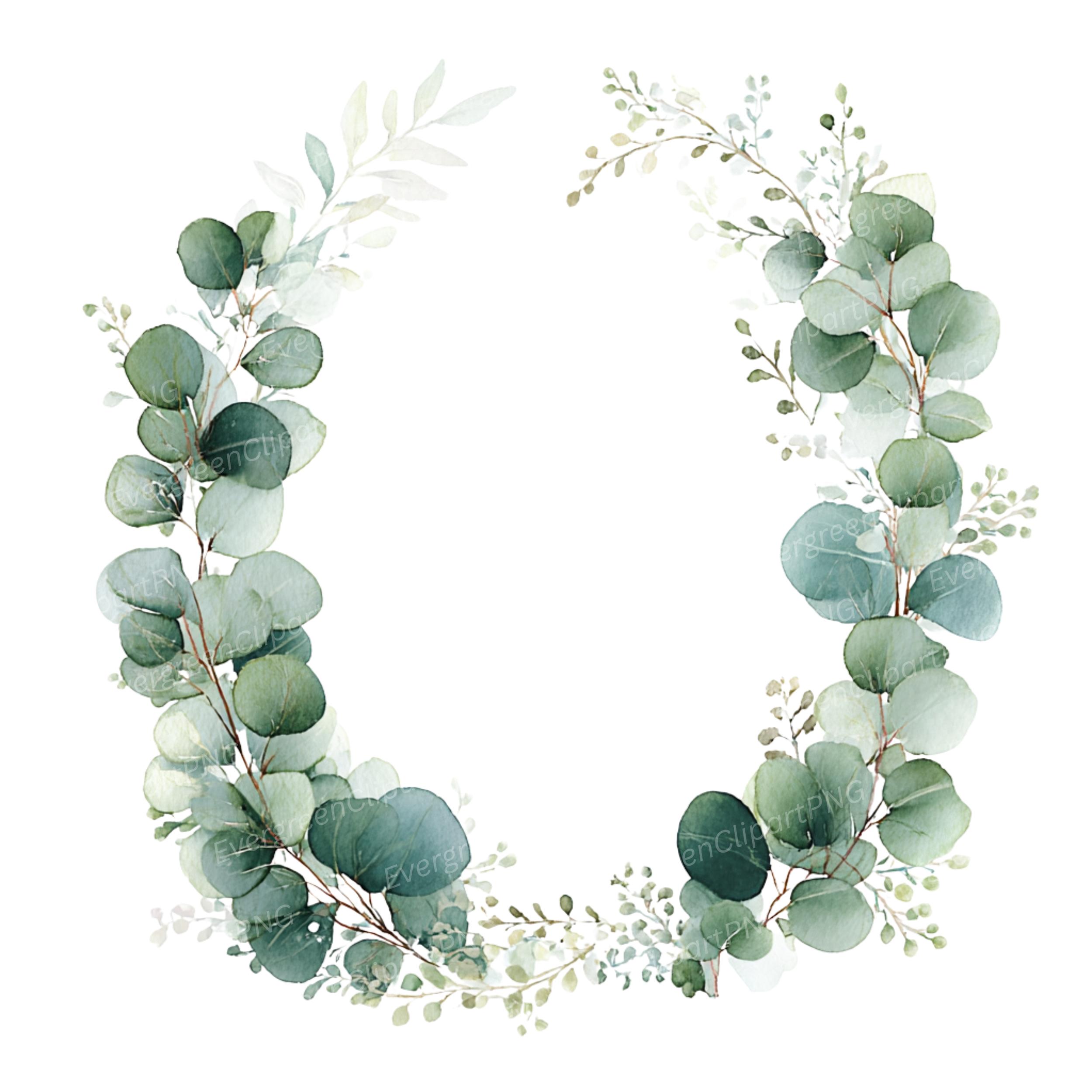 Watercolor Eucalyptus Wreath Clipart, Greenery Frames (11 PNG Digital ...