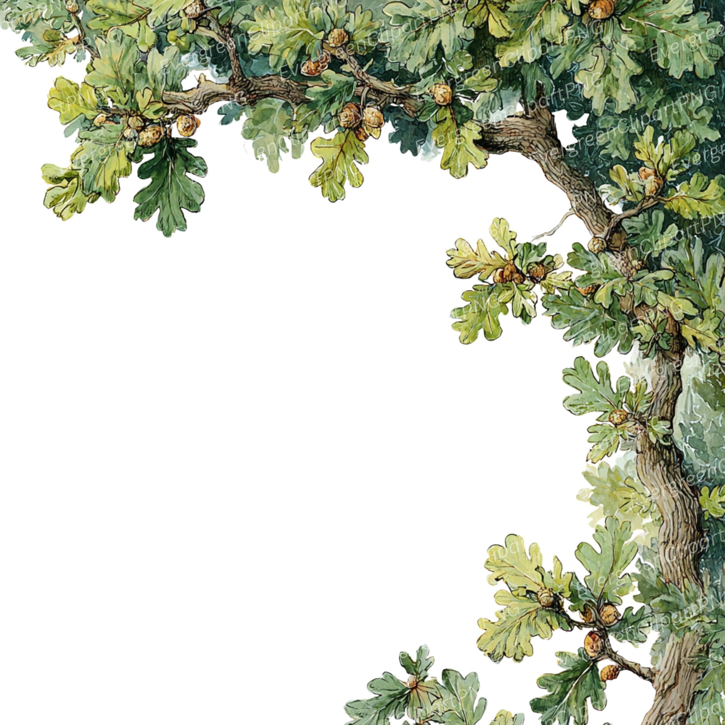 Watercolor Oak Leaf Frame Borders: Botanical Clipart (digital Download ...