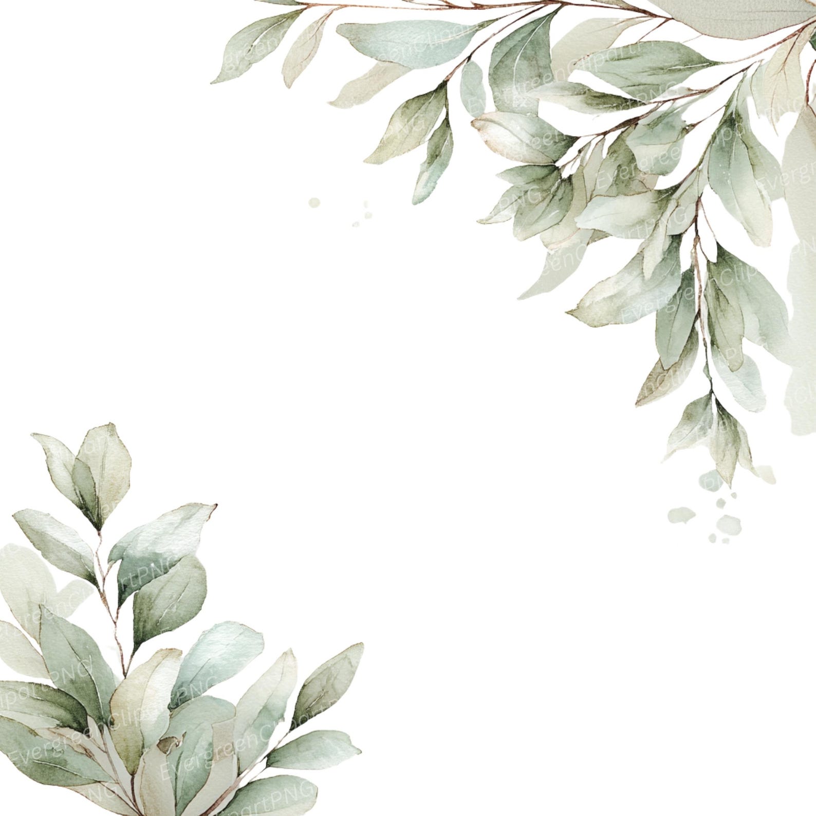 Watercolor Greenery Clipart: Botanical Leaves & Branches (digital ...