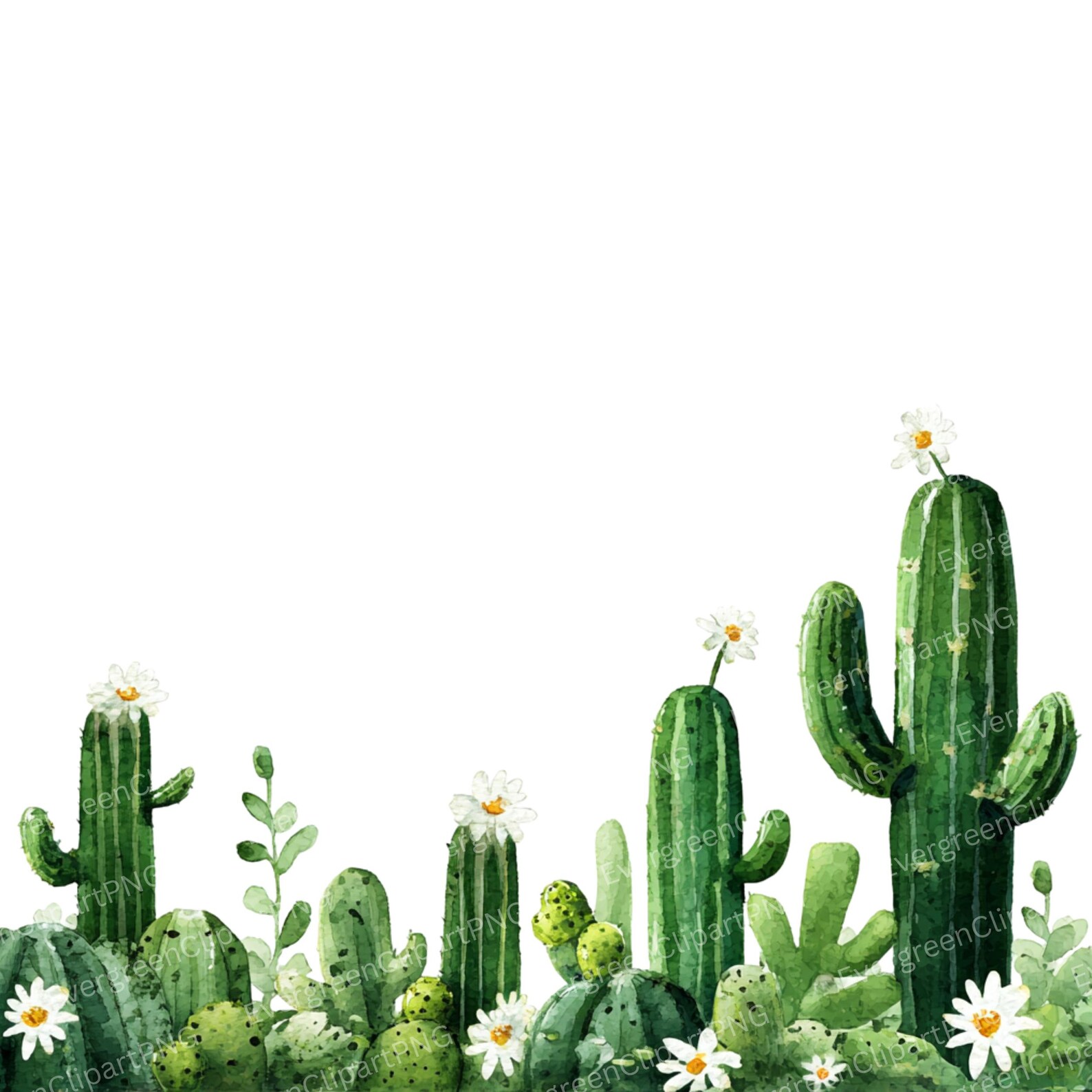 Watercolor Cactus Borders Clipart: Desert Succulent Frames (digital ...