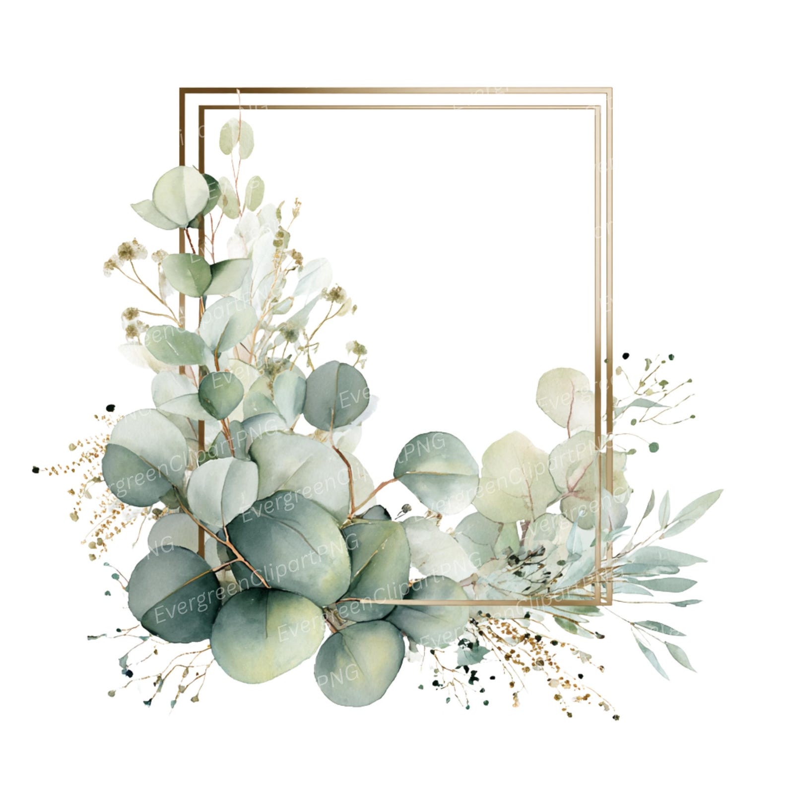 10 Eucalyptus Gold Frame Clipart: Watercolor Greenery, Botanical ...
