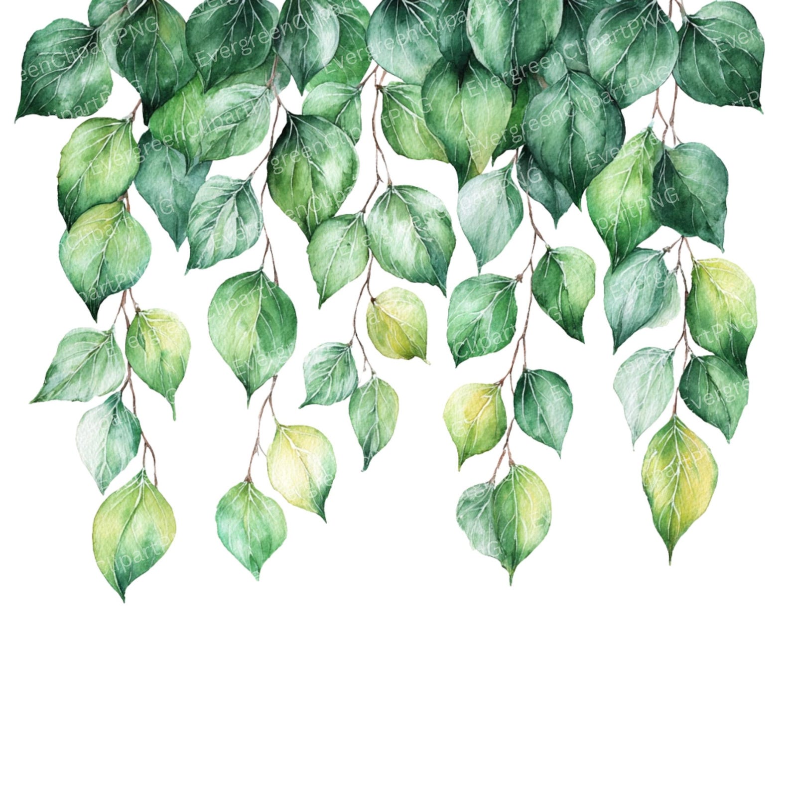Watercolor Green Leaves Clipart: Botanical Wedding Invitation Pngs ...