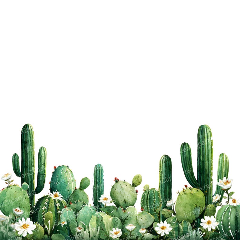 Watercolor Cactus Borders Clipart: Desert Succulent Frames (digital ...