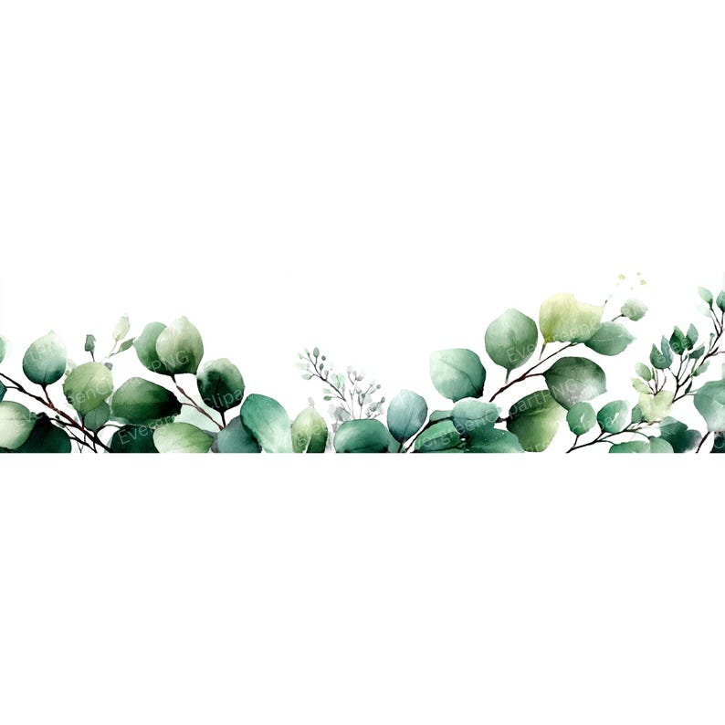 Watercolor Eucalyptus Border Clipart: Green Leaf Dividers (PNG Instant ...