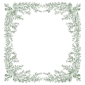 Green Botanical Frame Clipart: Vintage Leaf Border PNG (5000x5000 Px ...