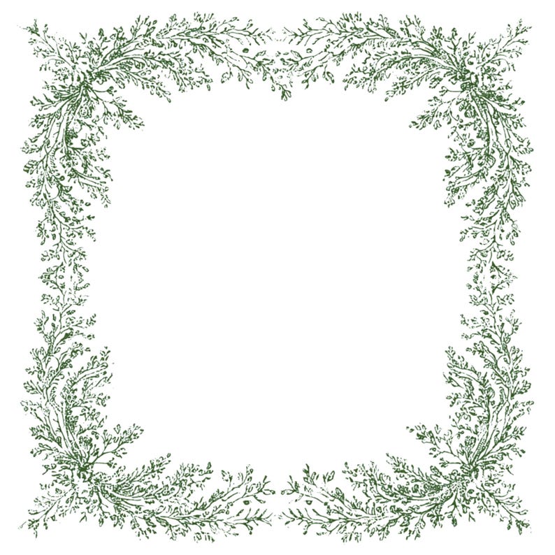 Green Botanical Frame Clipart: Vintage Leaf Border PNG (5000x5000 Px ...