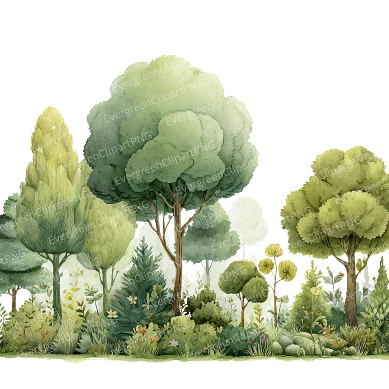 Watercolor Forest Tree Clipart Border: Woodland Greenery PNG (digital ...