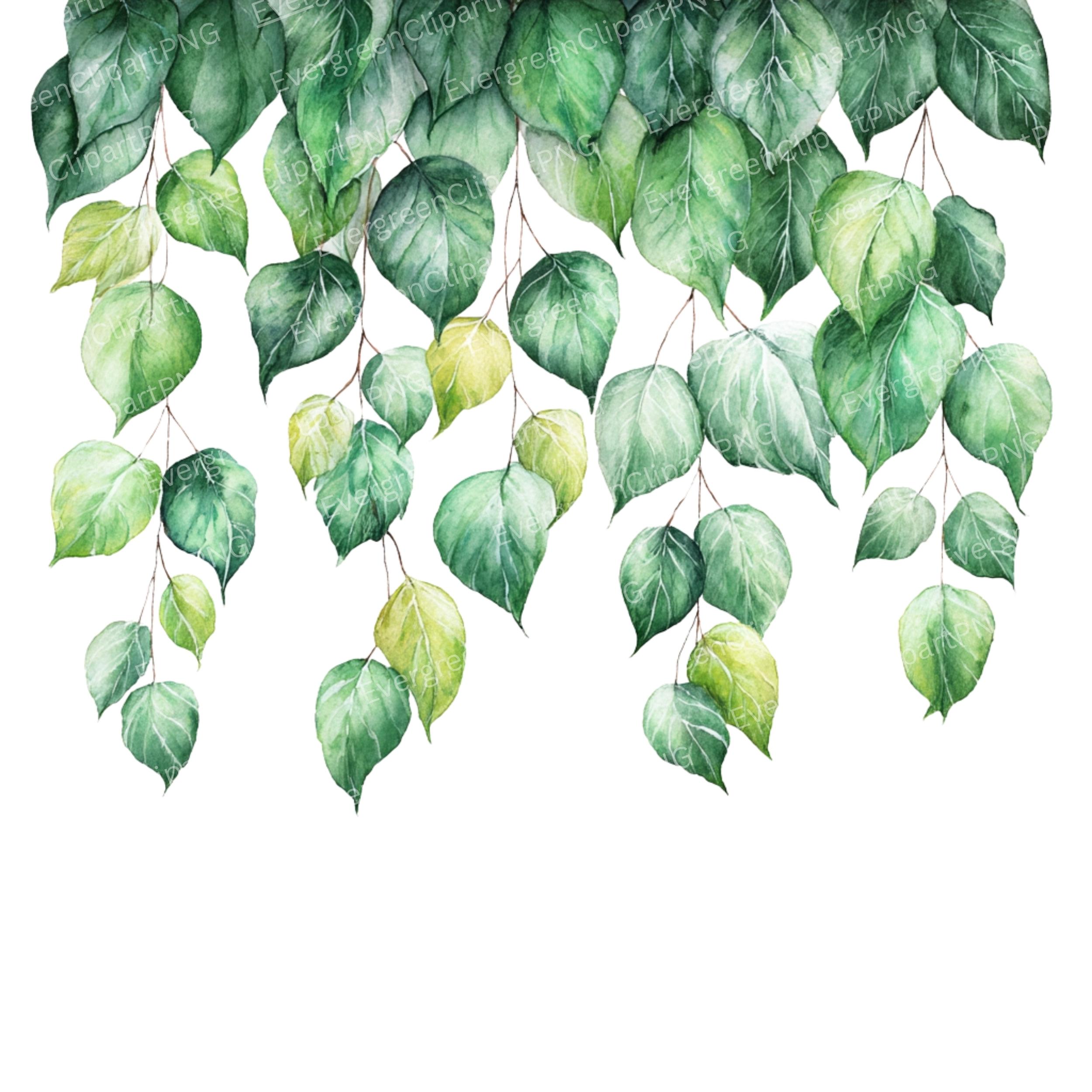 Watercolor Green Leaves Clipart: Botanical Wedding Invitation Pngs ...