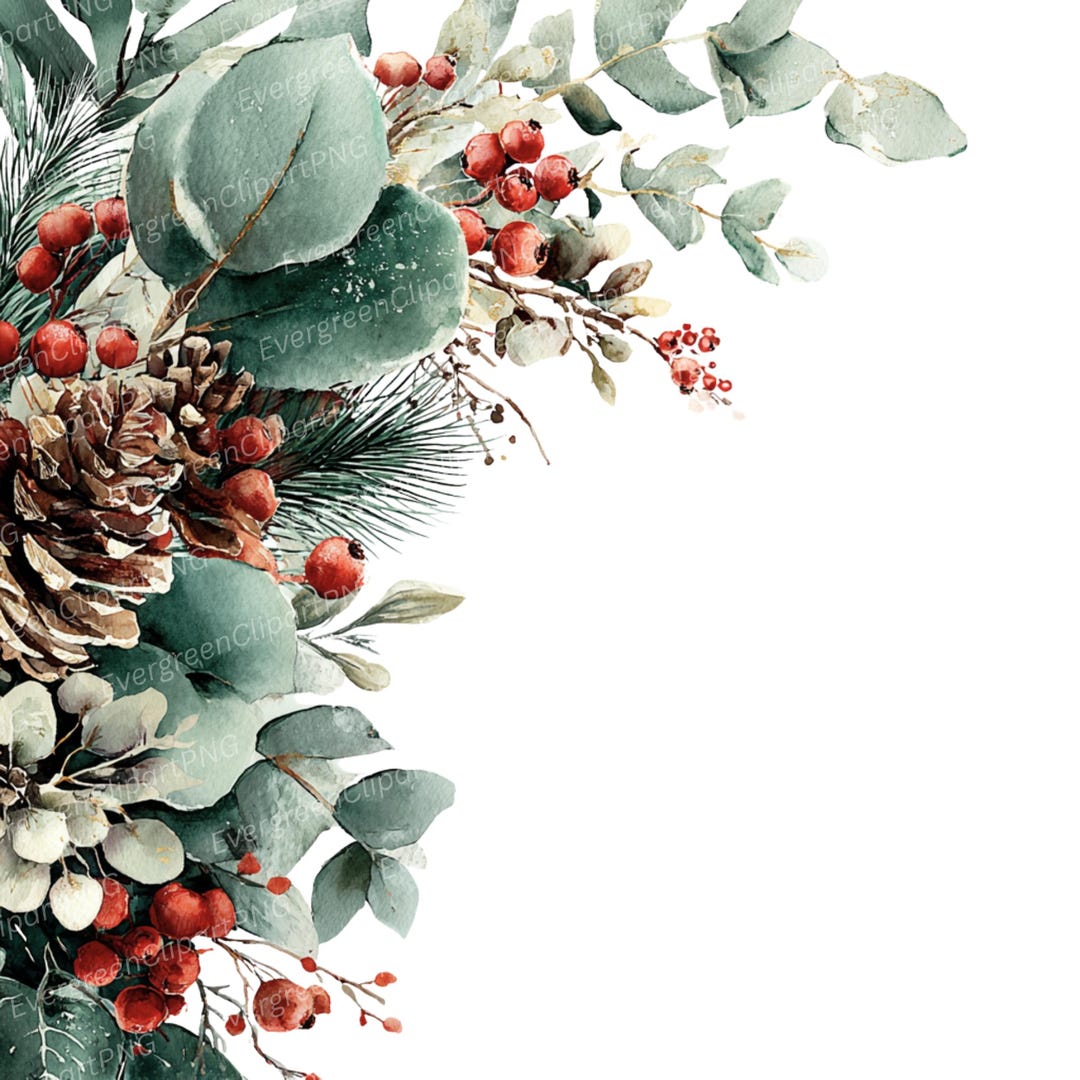 11 Watercolor Christmas Borders: Pine Branches, Berries PNG Clipart ...