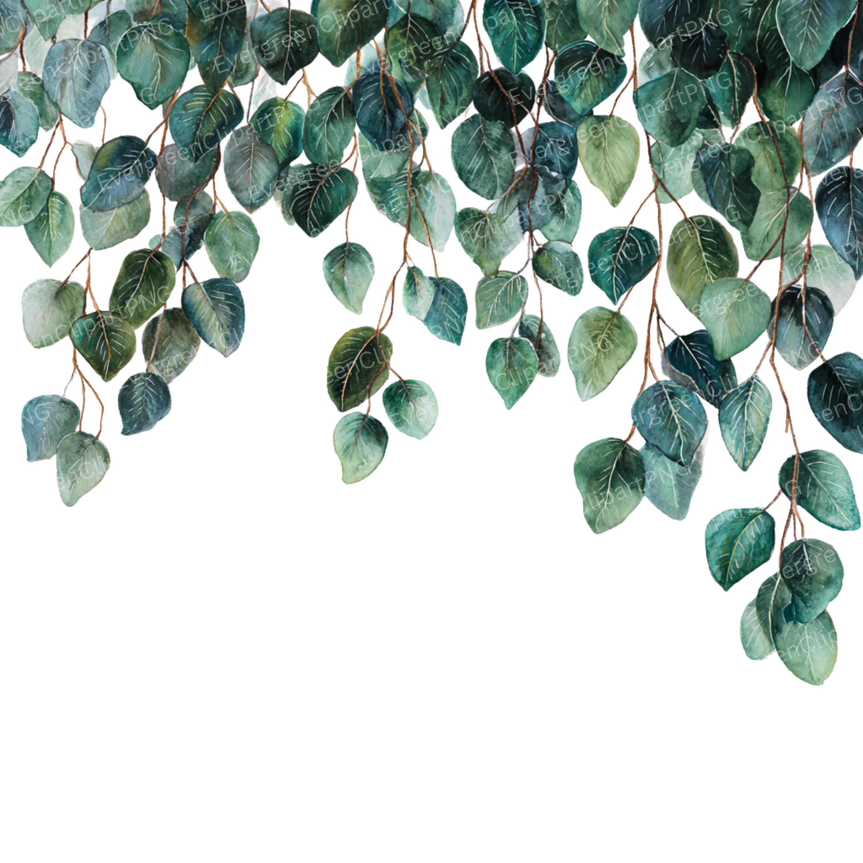 Emerald Foliage Clipart: Watercolor Greenery Borders (PNG Digital ...