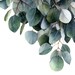 Watercolor Eucalyptus Leaves PNG Clipart: Botanical Garland, Wedding ...