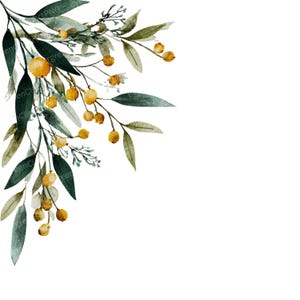 Watercolor Leaf Corner Clipart: Botanical Greenery PNG (digital ...