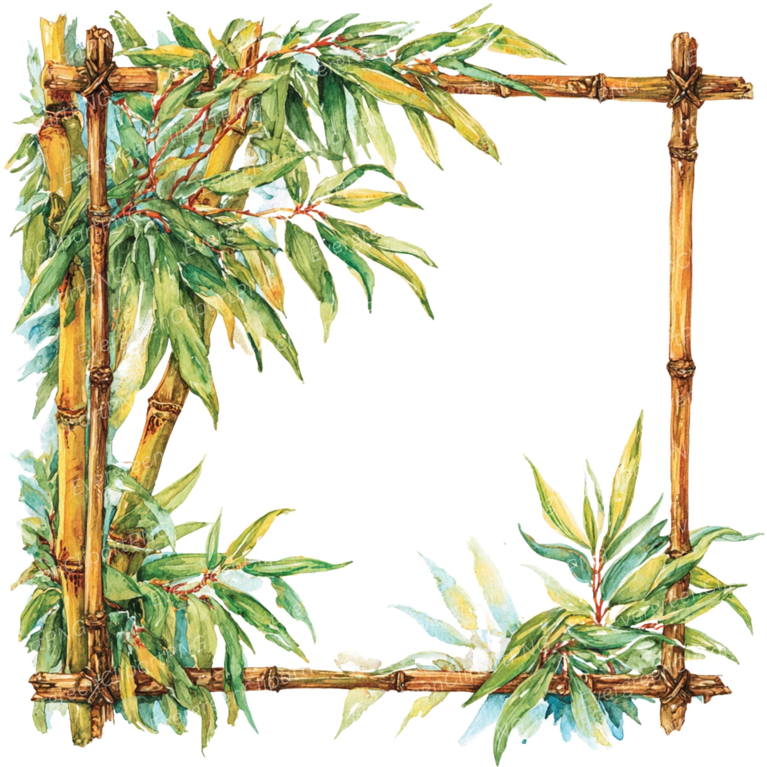 10 PNG Bamboo Frame Clipart, Watercolor Bamboo Borders & Tropical ...