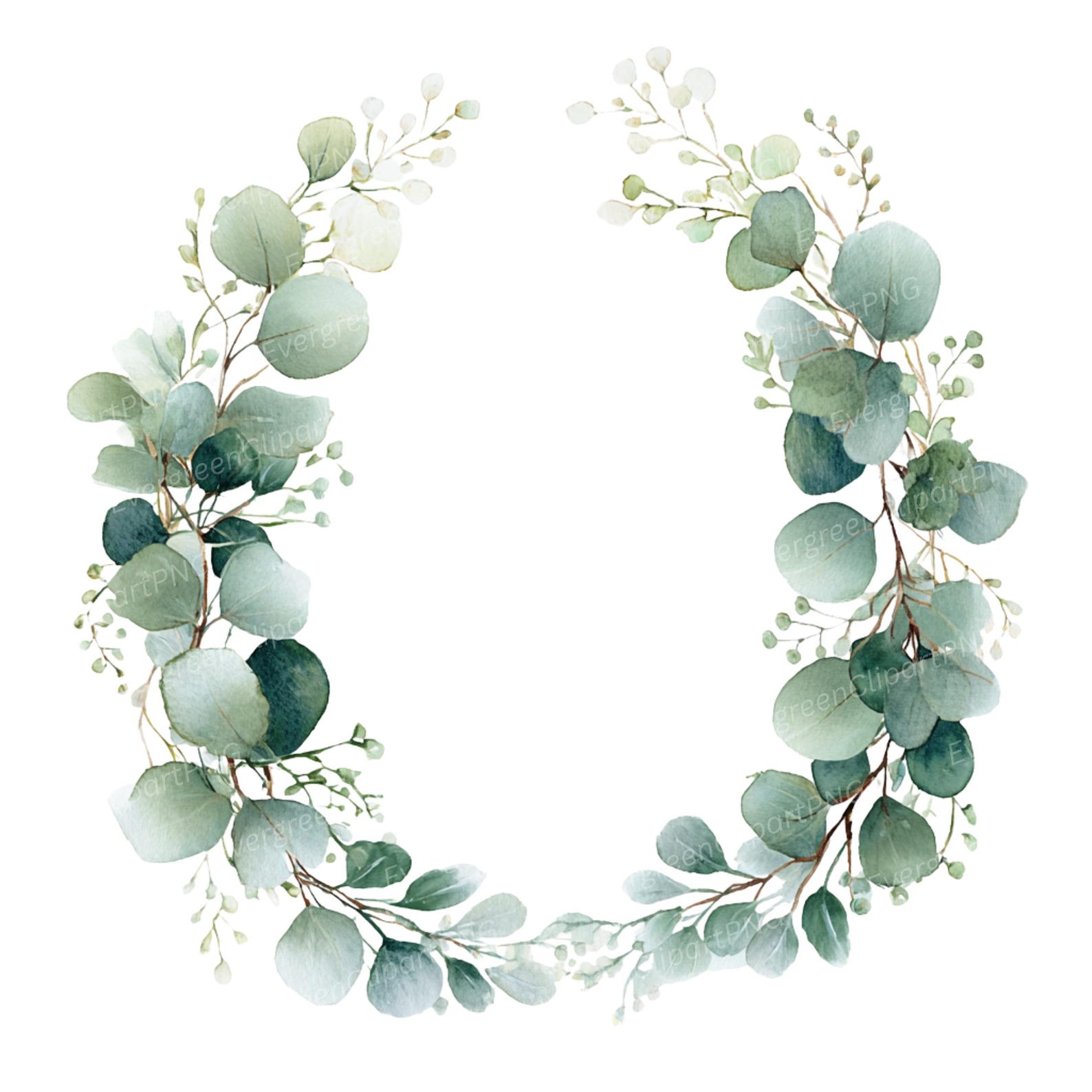 Watercolor Eucalyptus Wreath Clipart, Greenery Frames (11 PNG Digital ...