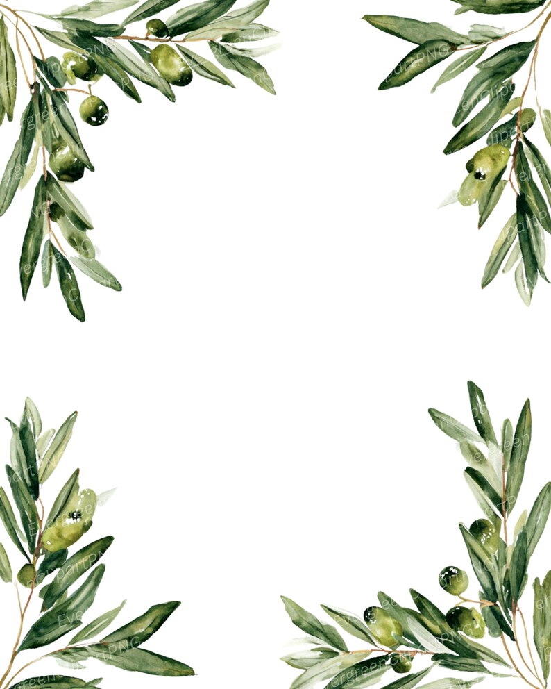 Watercolor Olive Branch Frames: Botanical Wreaths, Wedding Clipart ...