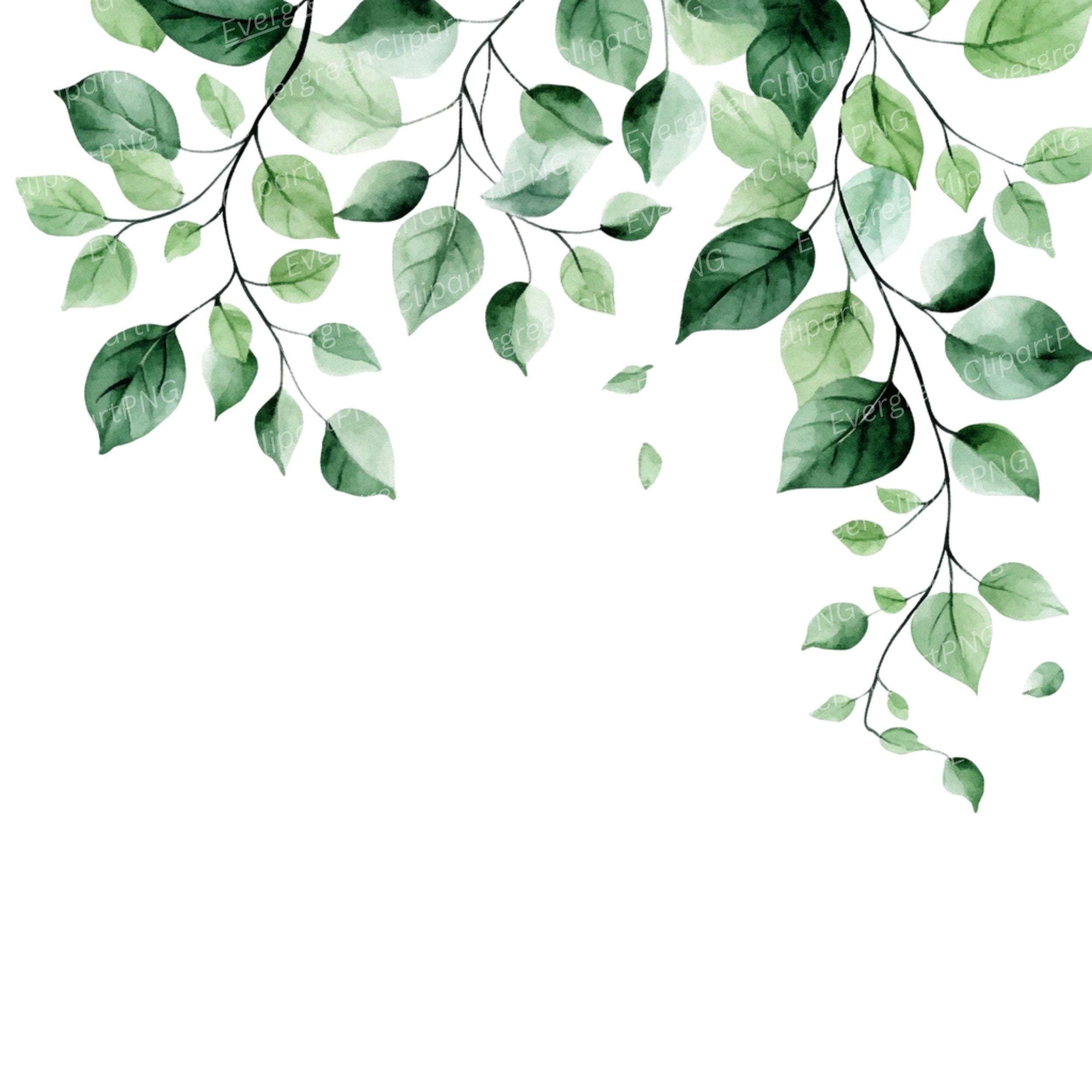 Watercolor Hanging Leaves Clipart: Botanical Greenery PNG (digital ...