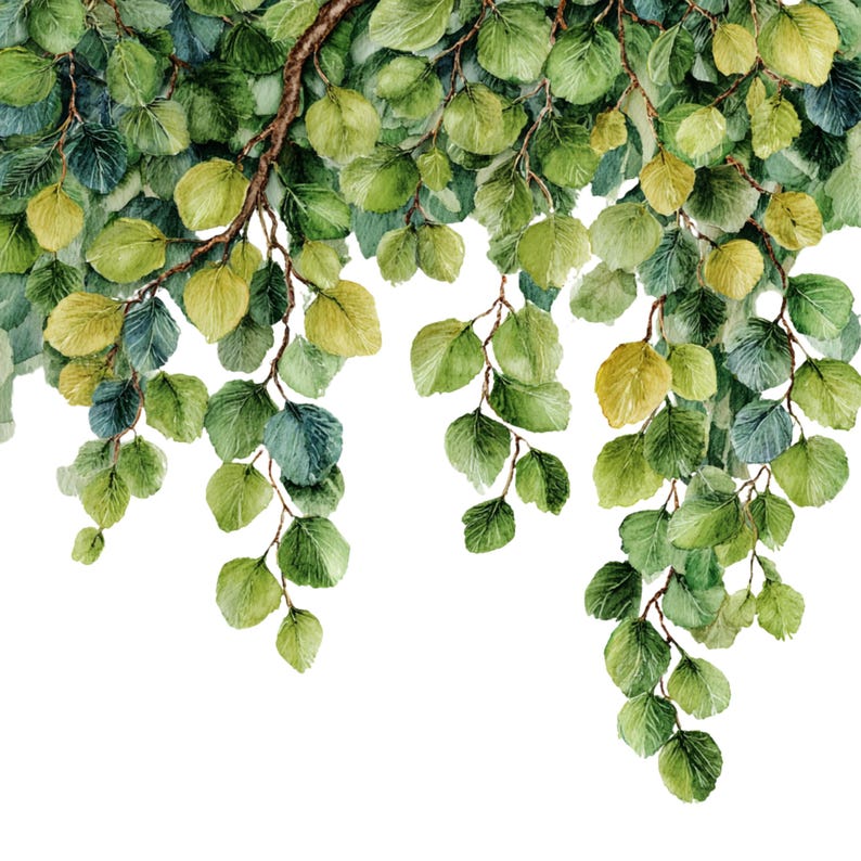 Watercolor Leaf Clipart Set: Greenery Borders & Frames (PNG JPG Digital ...