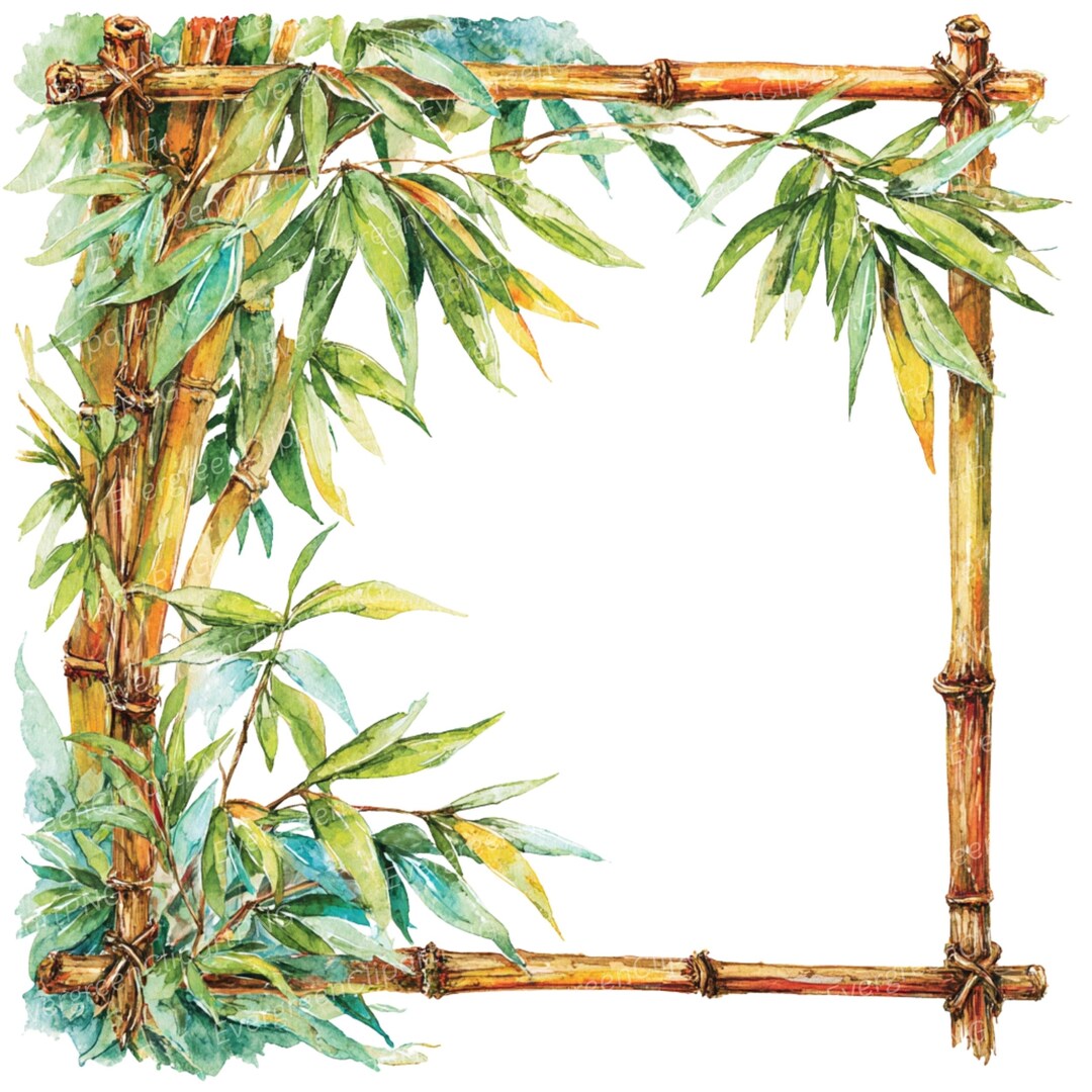 10 PNG Bamboo Frame Clipart, Watercolor Bamboo Borders & Tropical ...