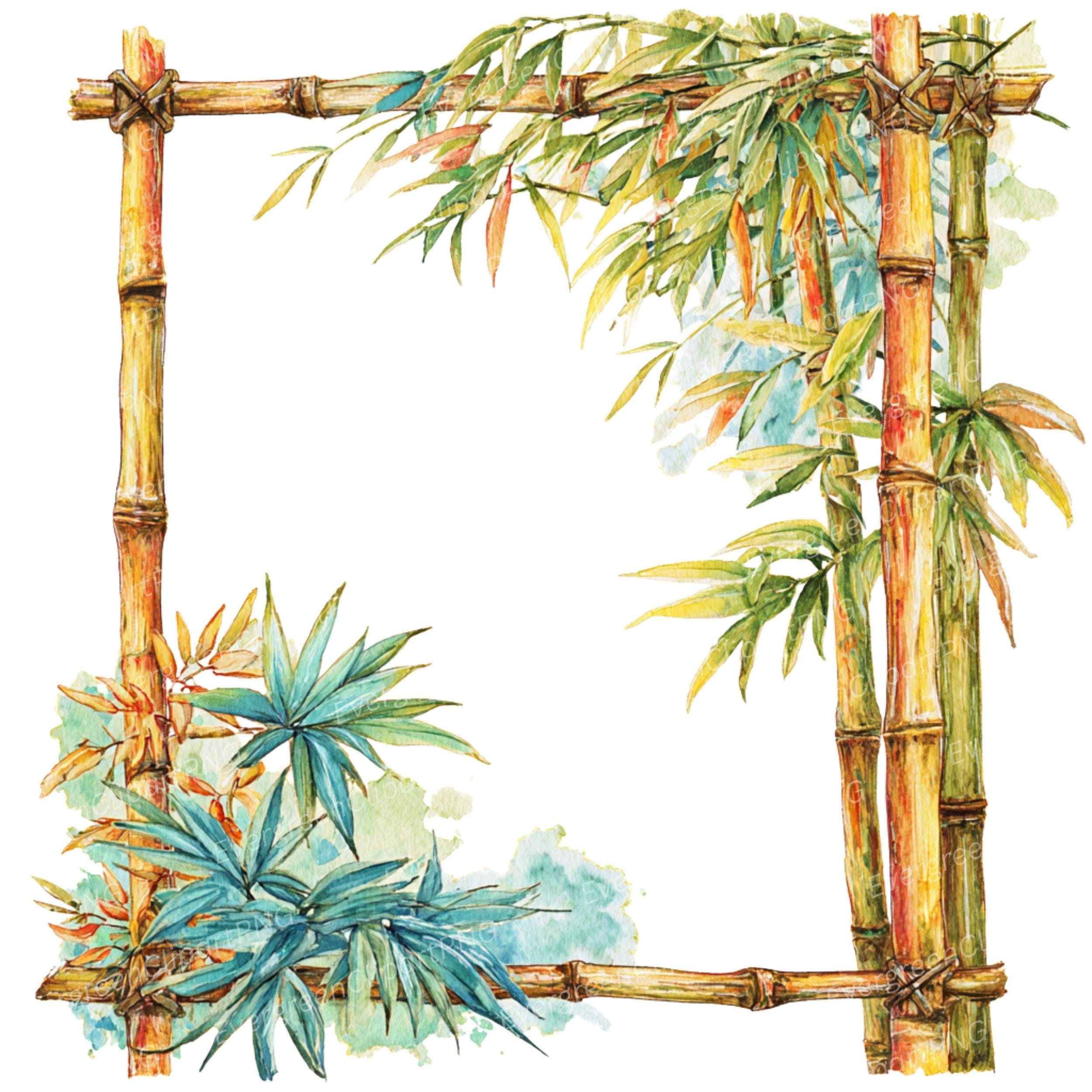 Watercolor Bamboo Frame Clipart, Tropical Greenery Borders (digital ...