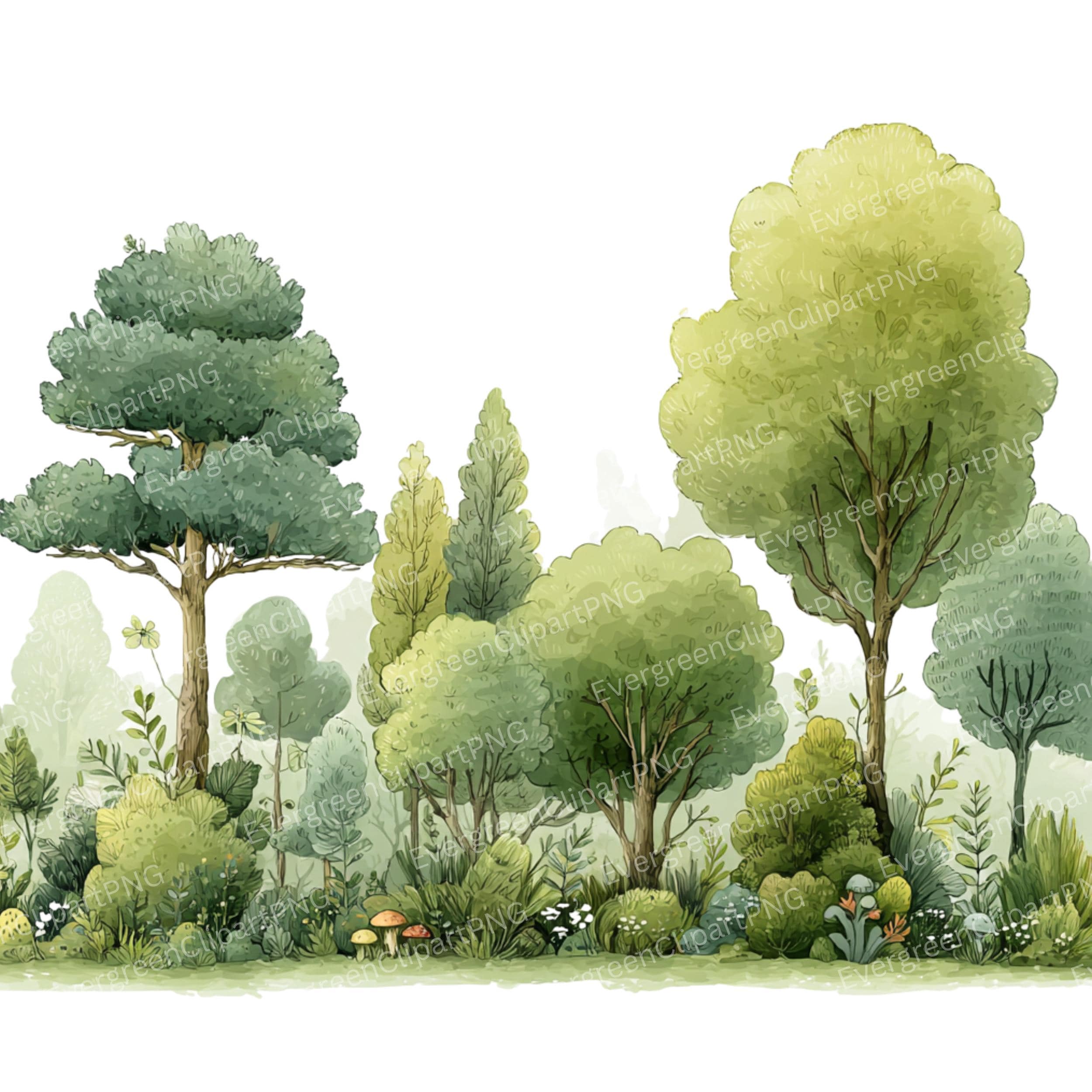 12 Watercolor Forest Tree Clipart Border: Woodland Greenery PNG ...