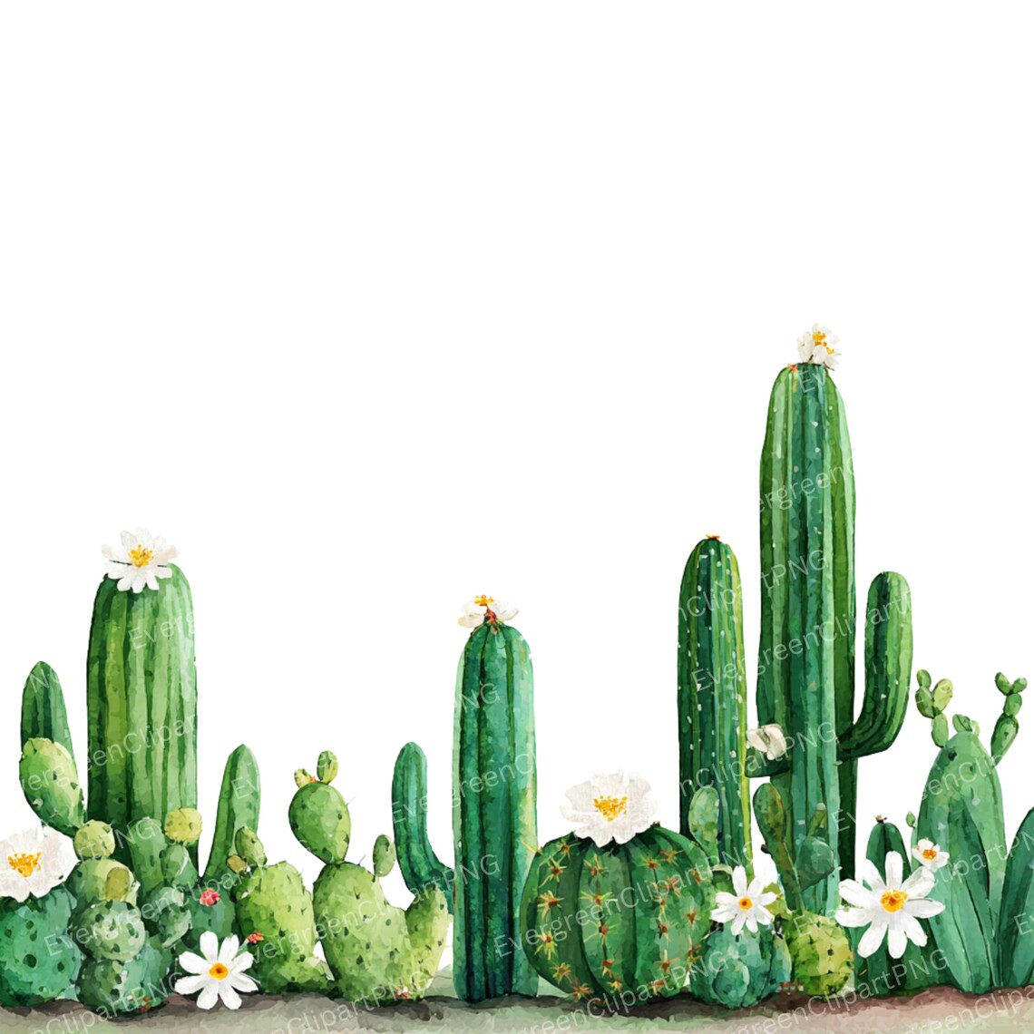 Watercolor Cactus Borders Clipart: Desert Succulent Frames (digital ...