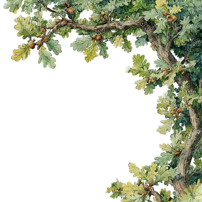 Watercolor Oak Leaf Frame Borders: Botanical Clipart (digital Download ...