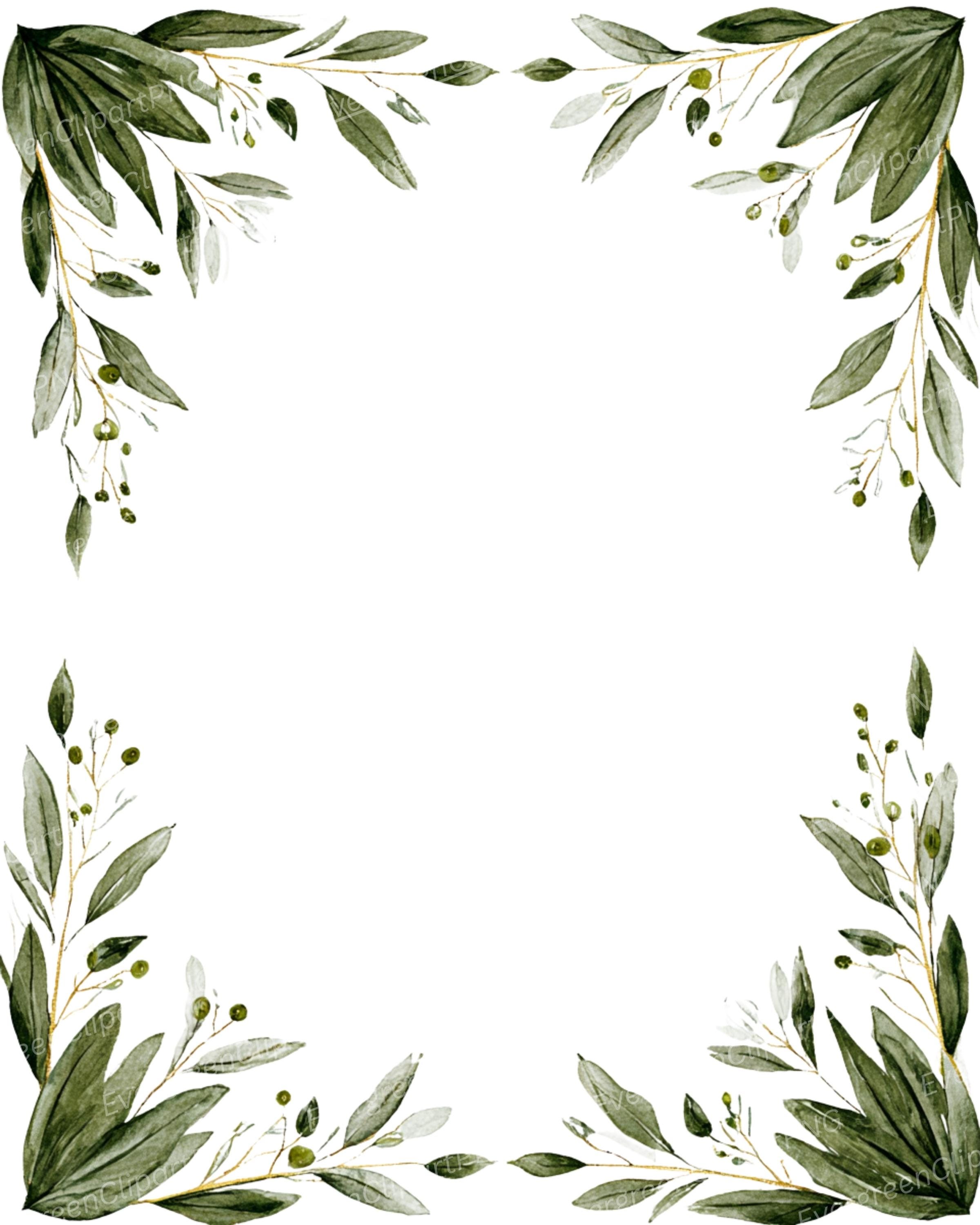 10 Watercolor Olive Branch Frame Clipart: Botanical Wreaths (digital ...