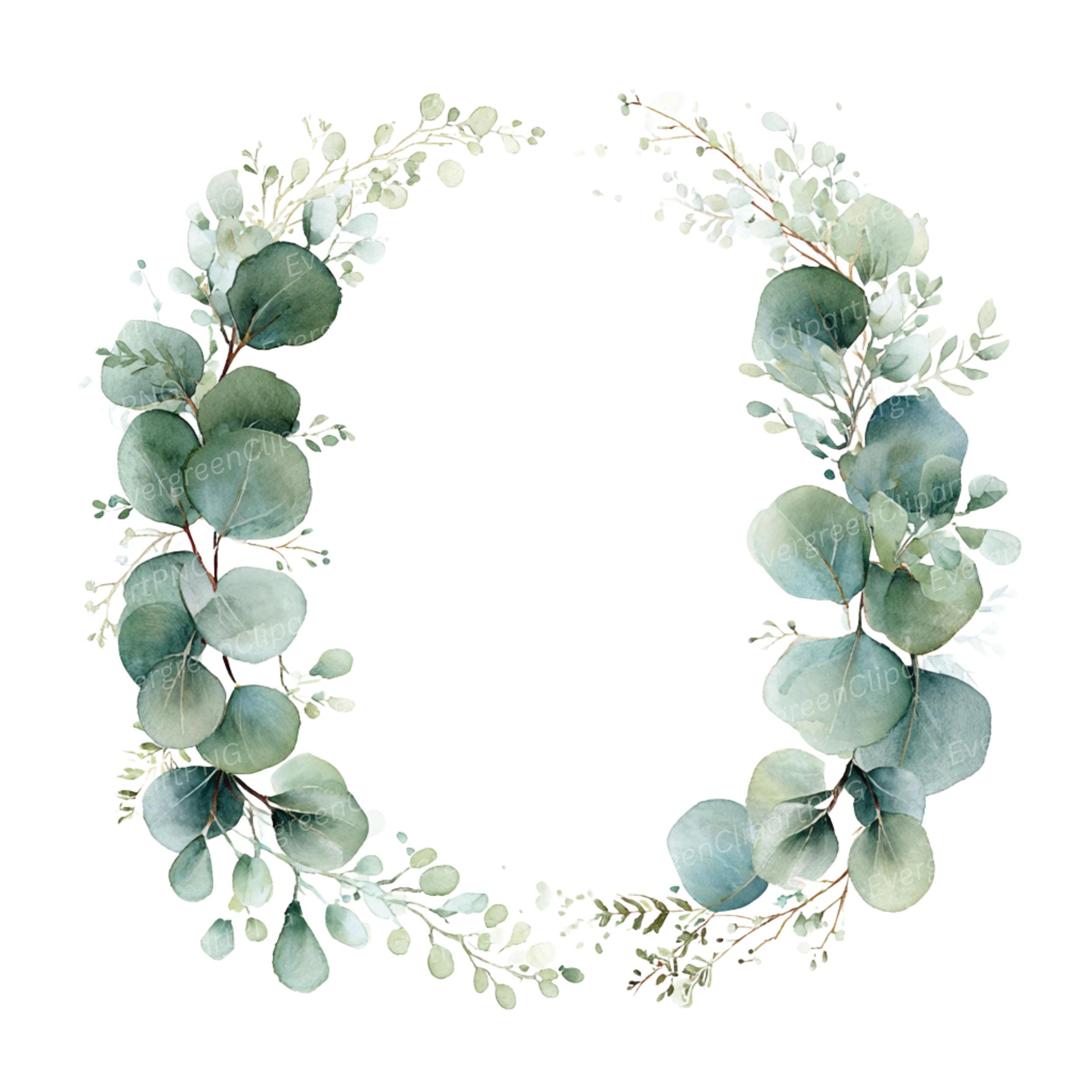 Watercolor Eucalyptus Wreath Clipart, Greenery Frames (11 PNG Digital ...