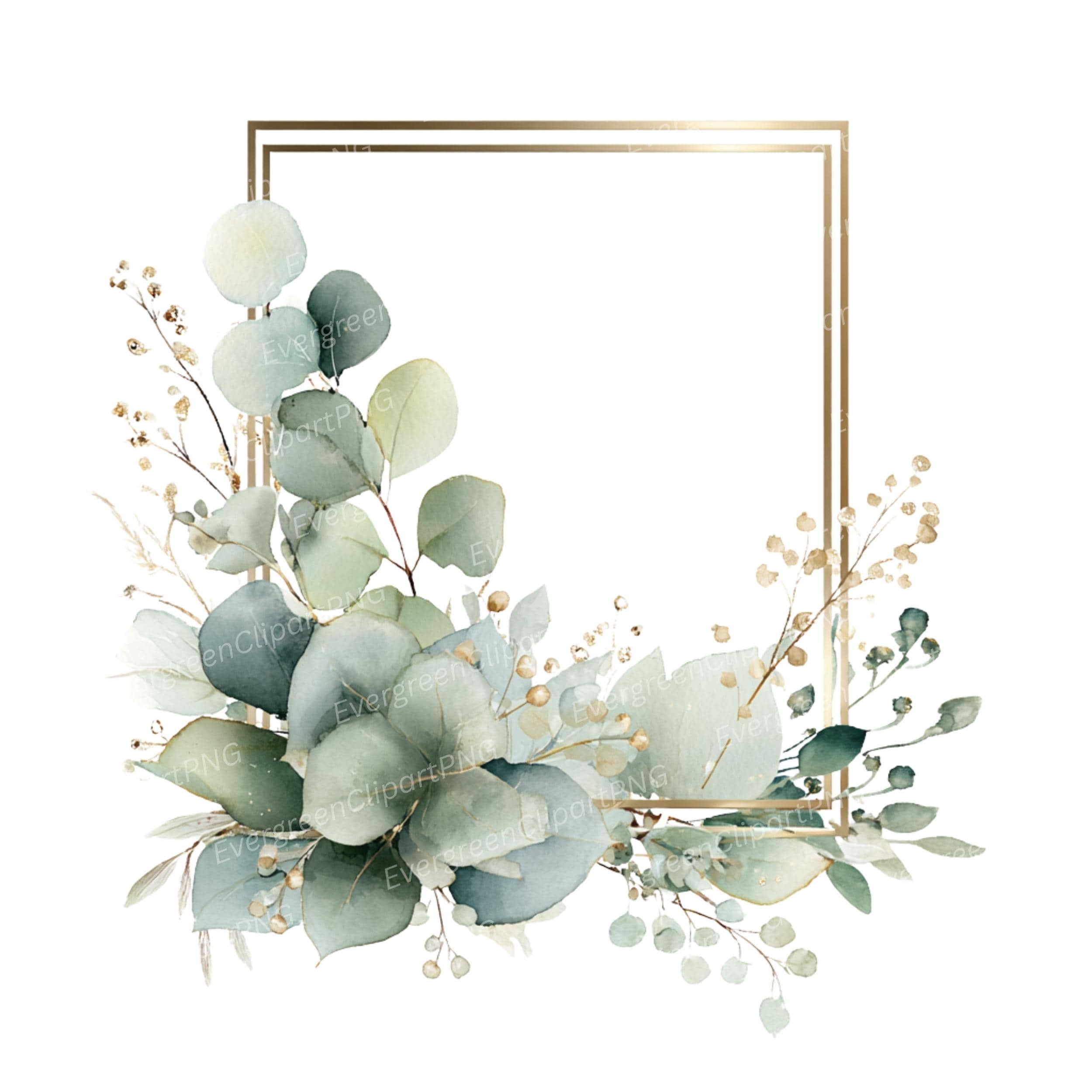 10 Eucalyptus Gold Frame Clipart: Watercolor Greenery, Botanical ...