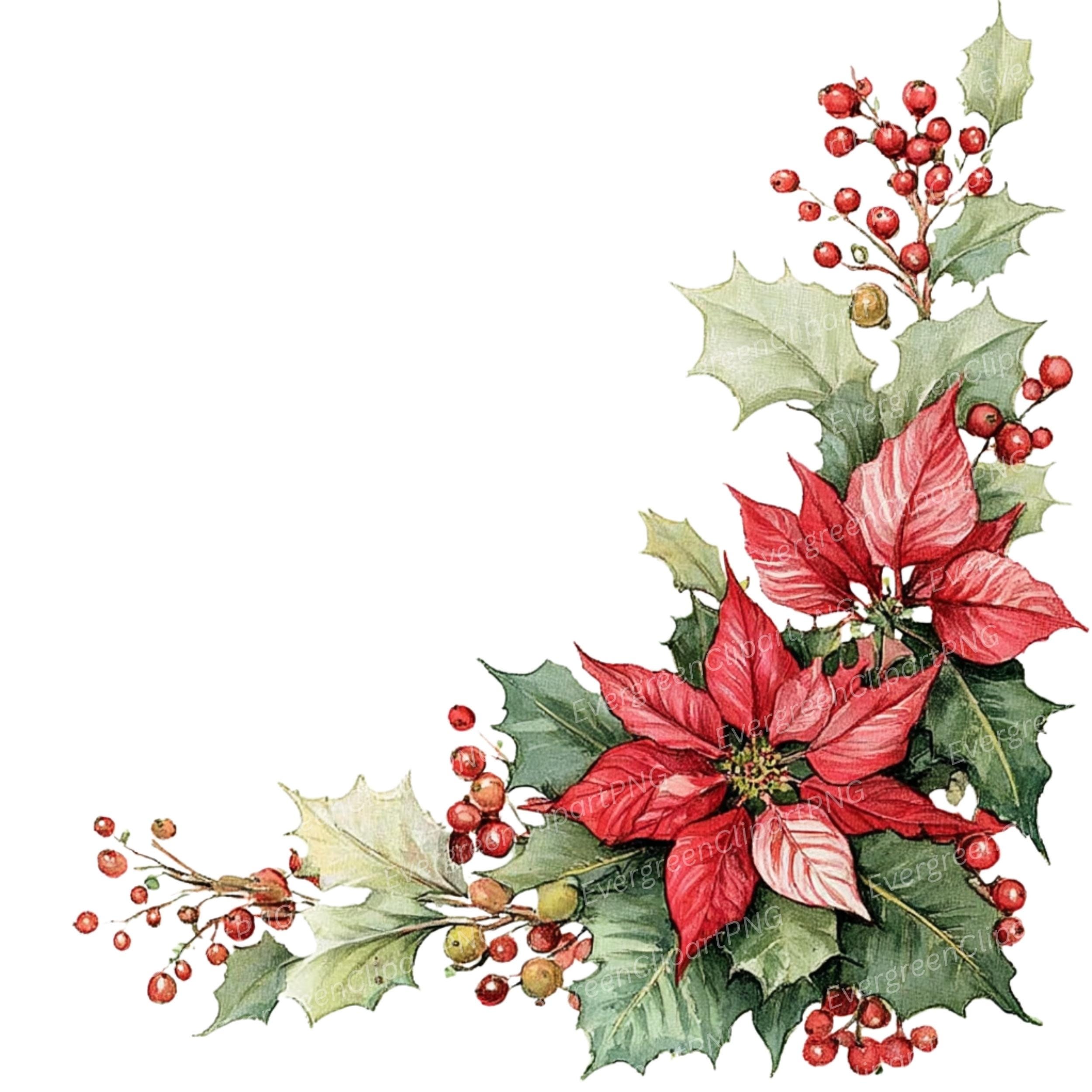 9 Watercolor Poinsettia Christmas Borders: Red & Green Holiday Frames ...