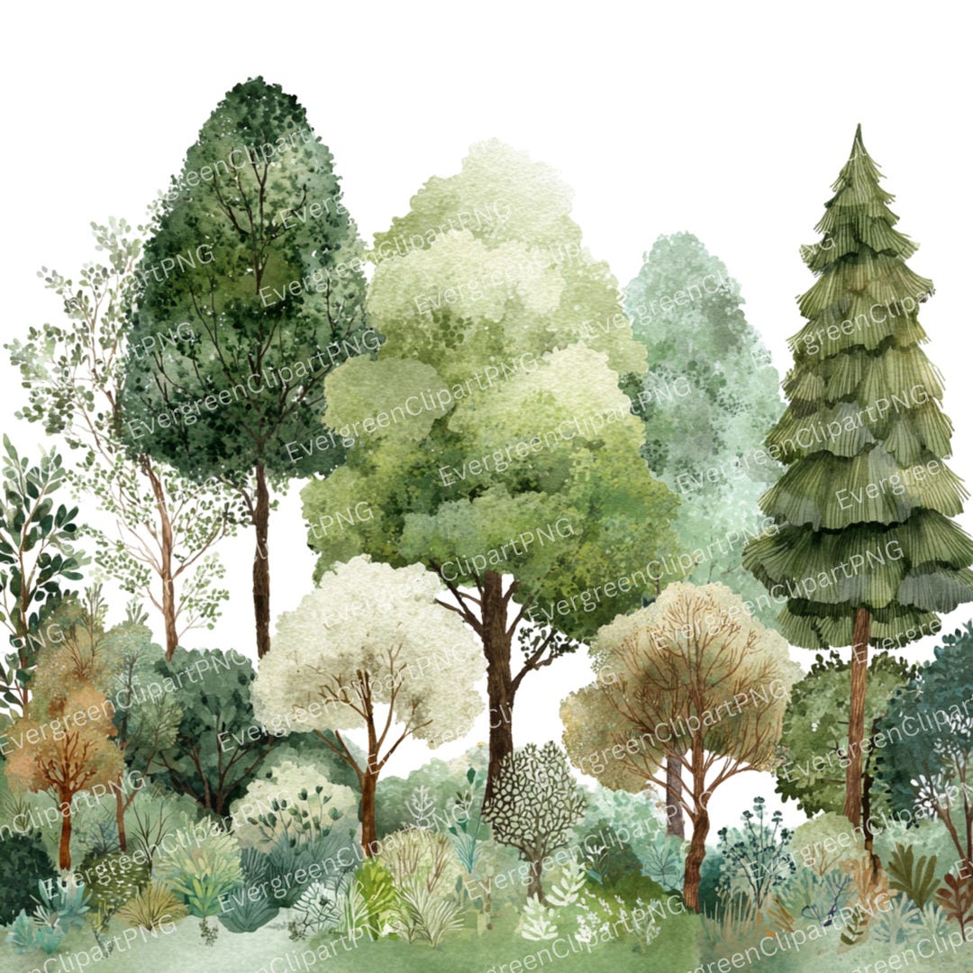 12 Watercolor Forest Trees Clipart, Kids Woodland PNG (digital Download ...