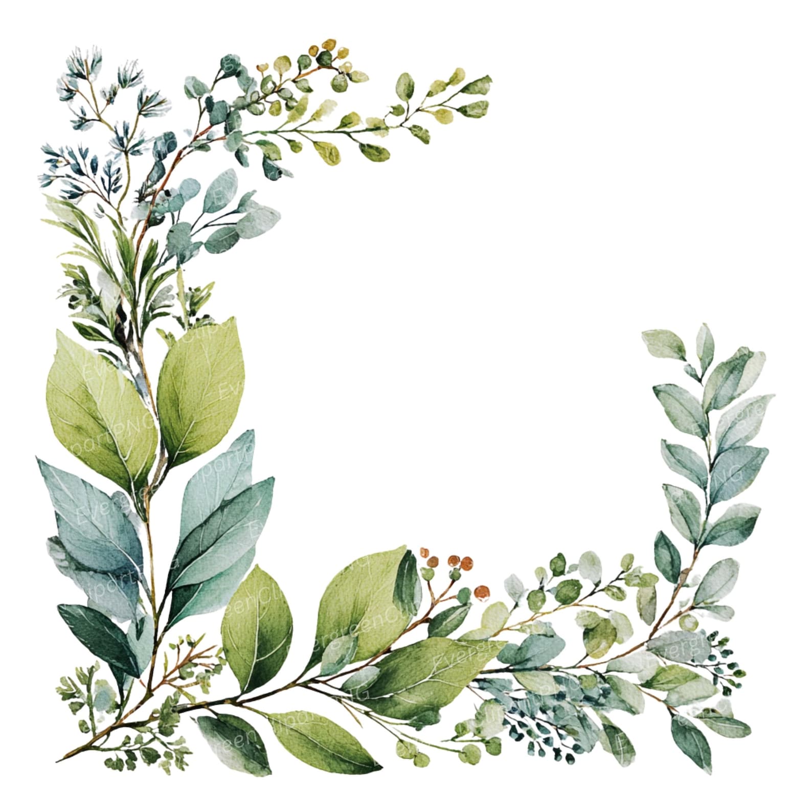 Leaf Branch Corner Border Clipart: Botanical Greenery PNG (digital ...