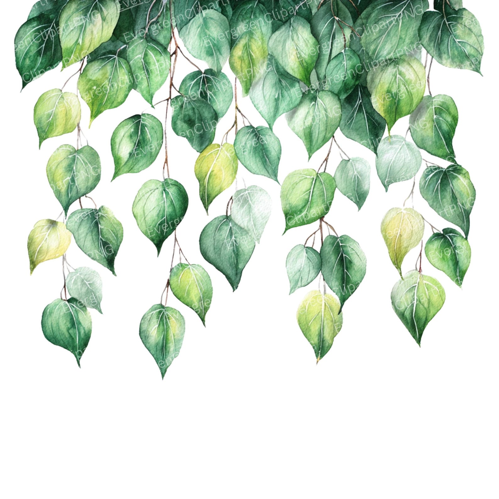 Watercolor Green Leaves Clipart: Botanical Wedding Invitation Pngs ...