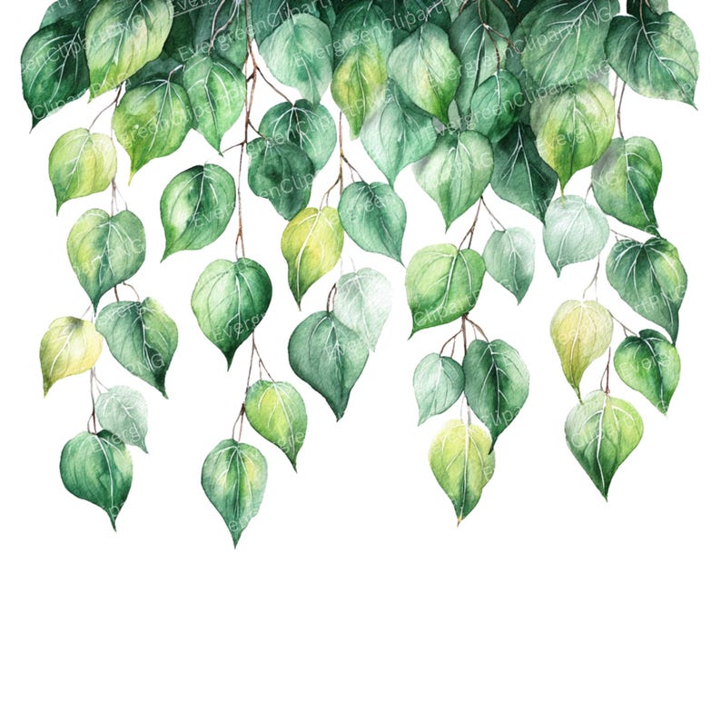 Watercolor Green Leaves Clipart: Botanical Hanging Foliage PNG (digital ...