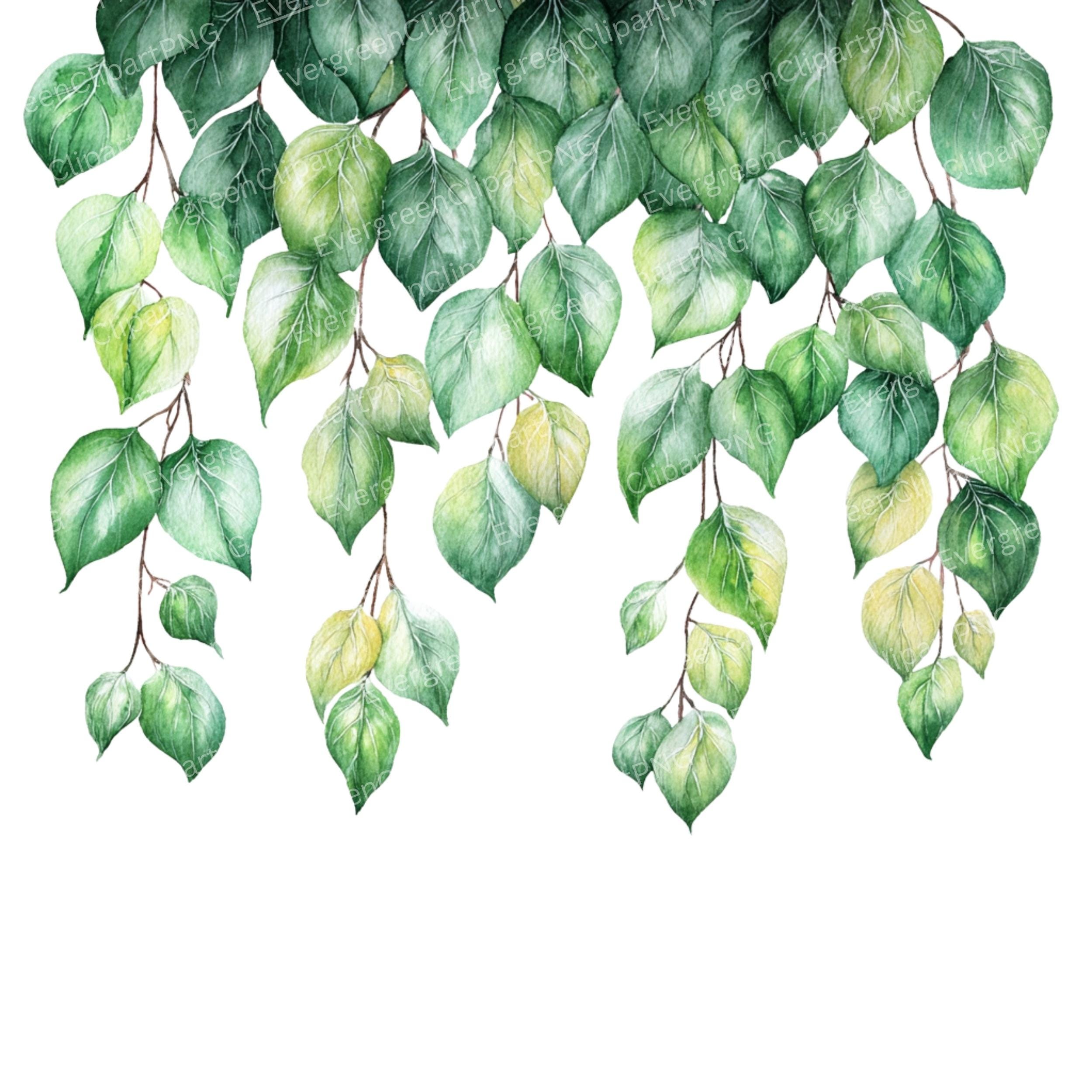 Watercolor Green Leaves Clipart: Botanical Wedding Invitation Pngs ...