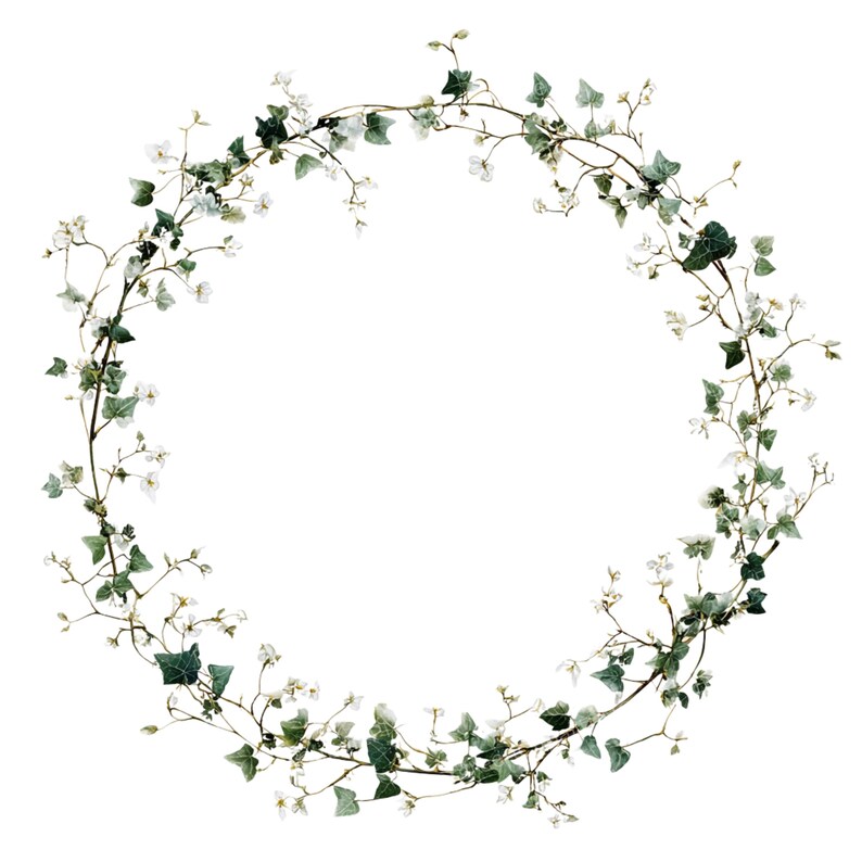 Watercolor Ivy Wreath Clipart: Botanical Circle Frames (digital ...
